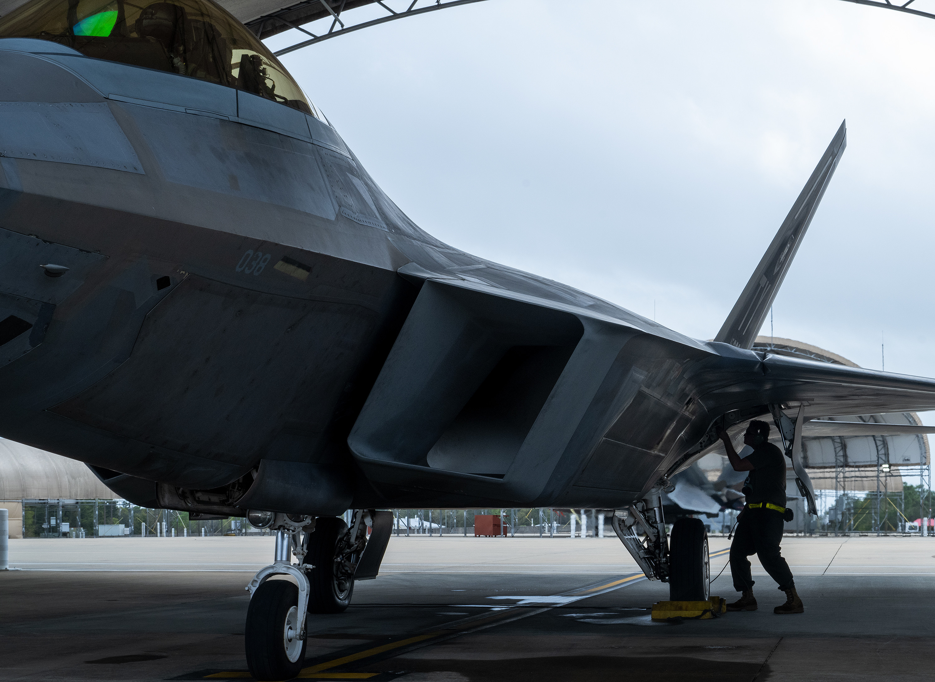 Raptor released > Eglin Air Force Base > Article Display