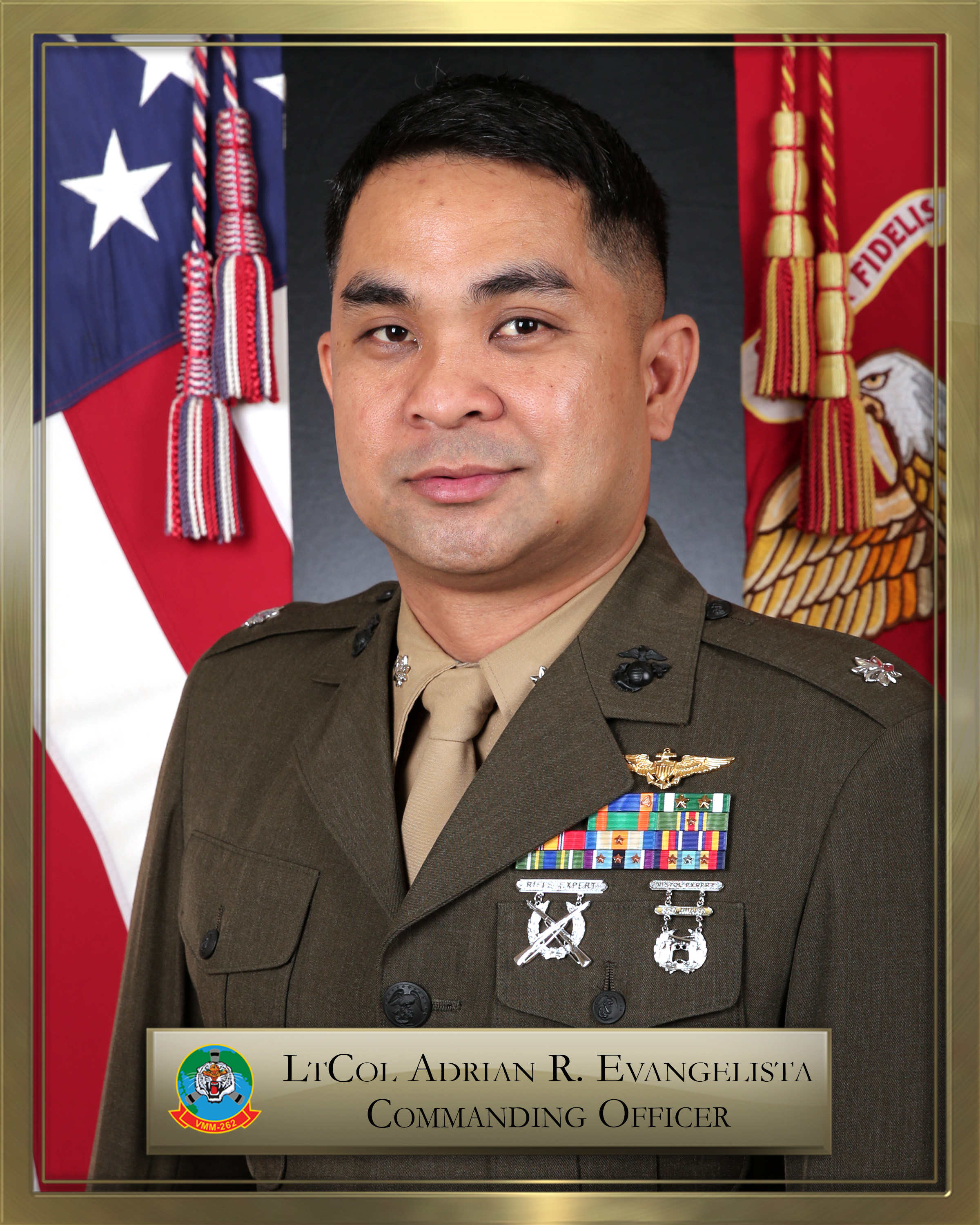 VMM-262 Commanding Officer > 1st Marine Aircraft Wing > Biography