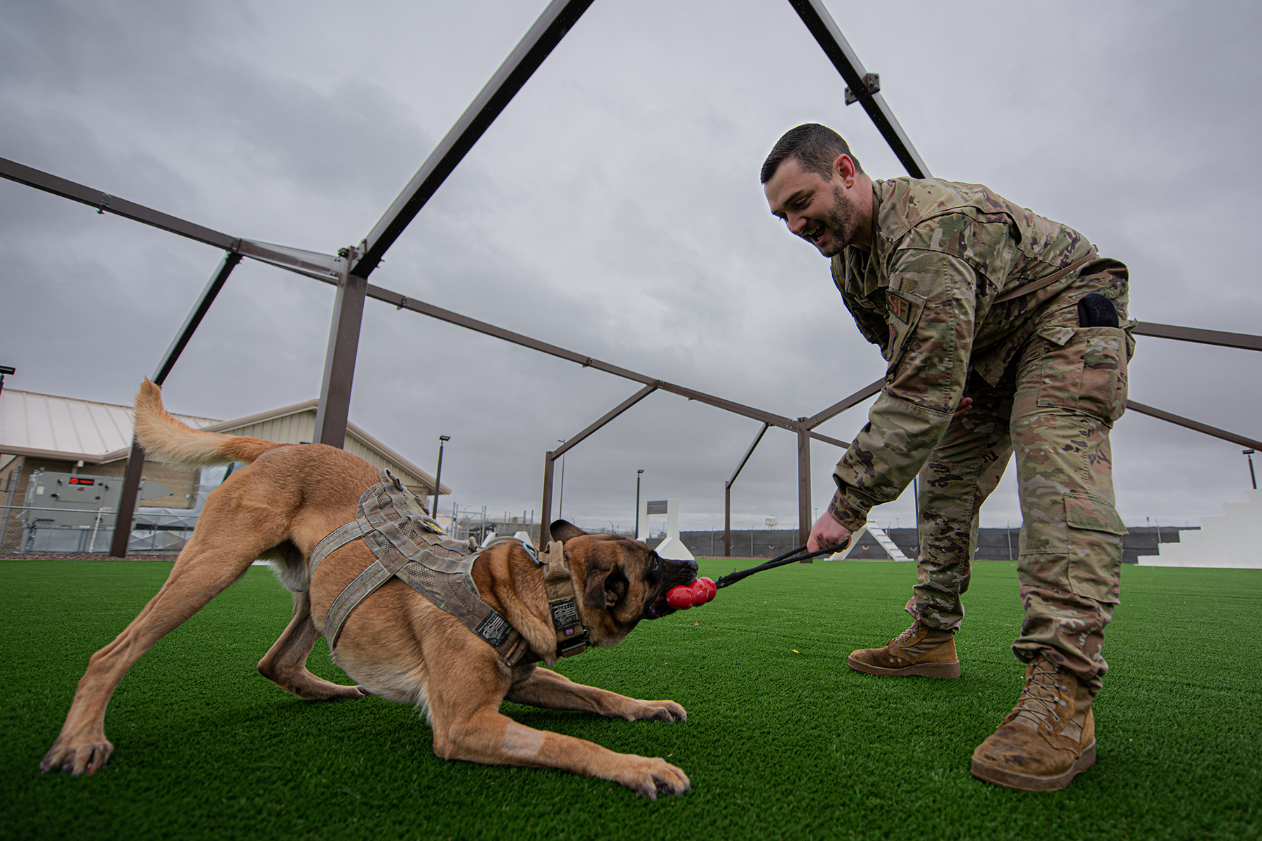 Grey Wolf test highlighted in AF Week in Photos > Eglin Air Force Base ...