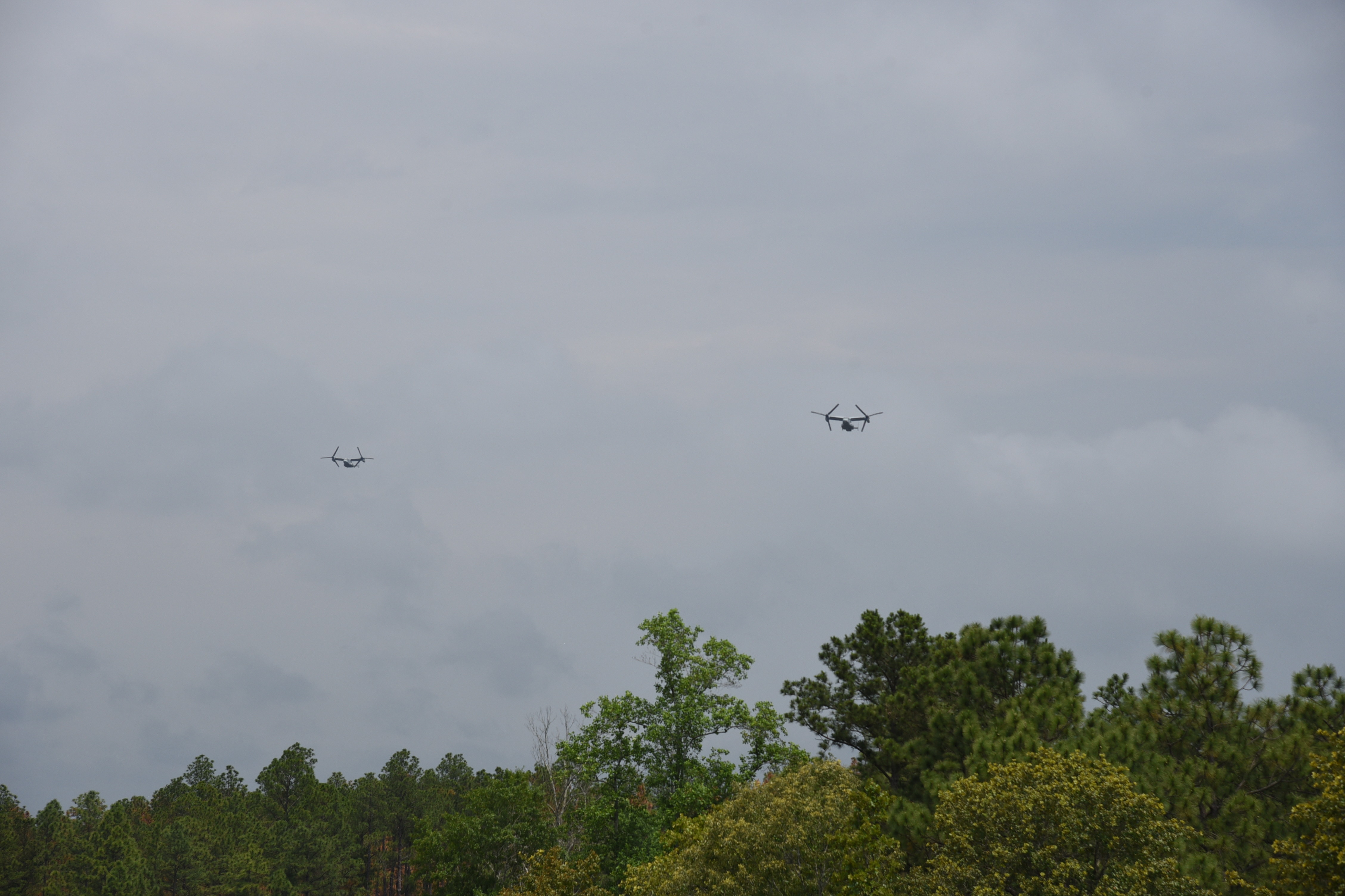 Hitting the drop zone > 403rd Wing > Article Display