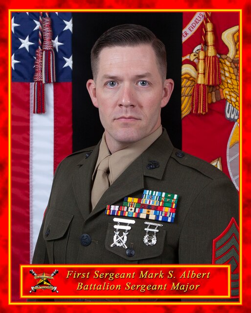 First Sergeant Mark S. Albert > 3rd Marine Division > Biography