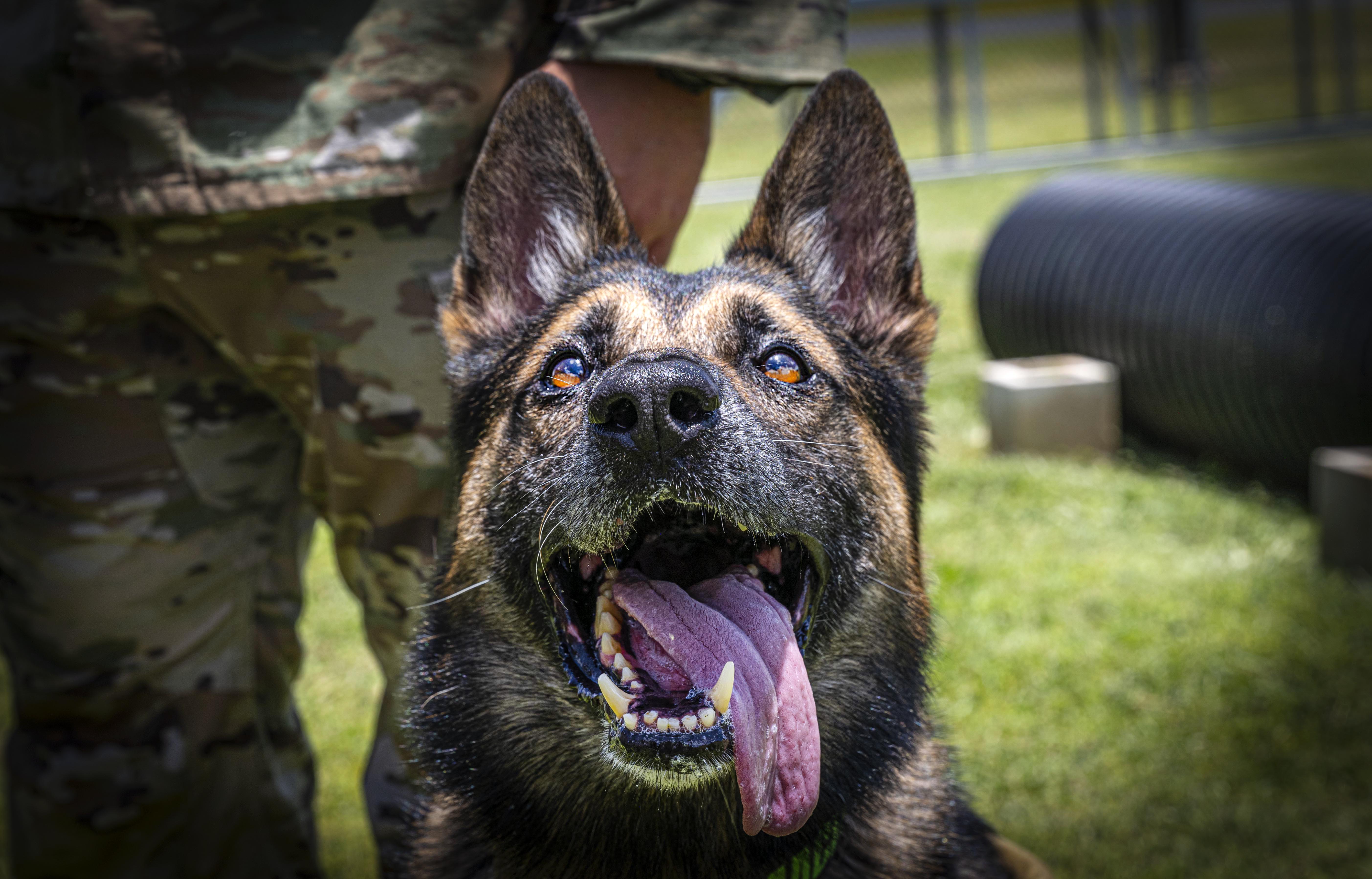 Pacific Air Forces strengthens partnerships during Pacific Defender ...