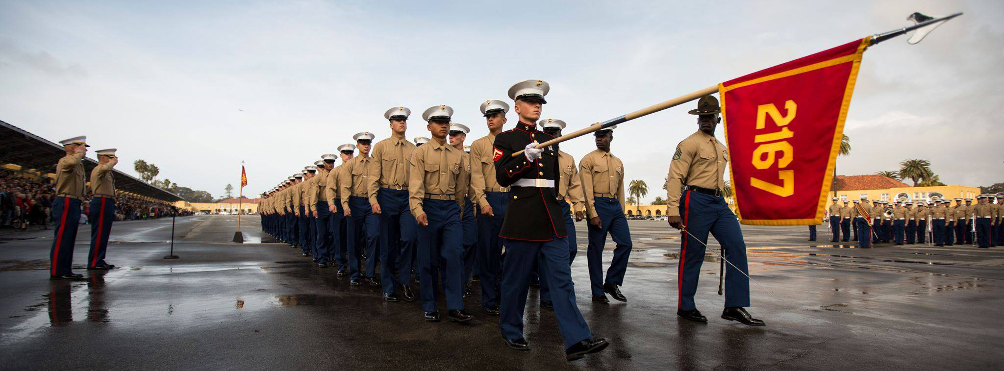 MCRDSD