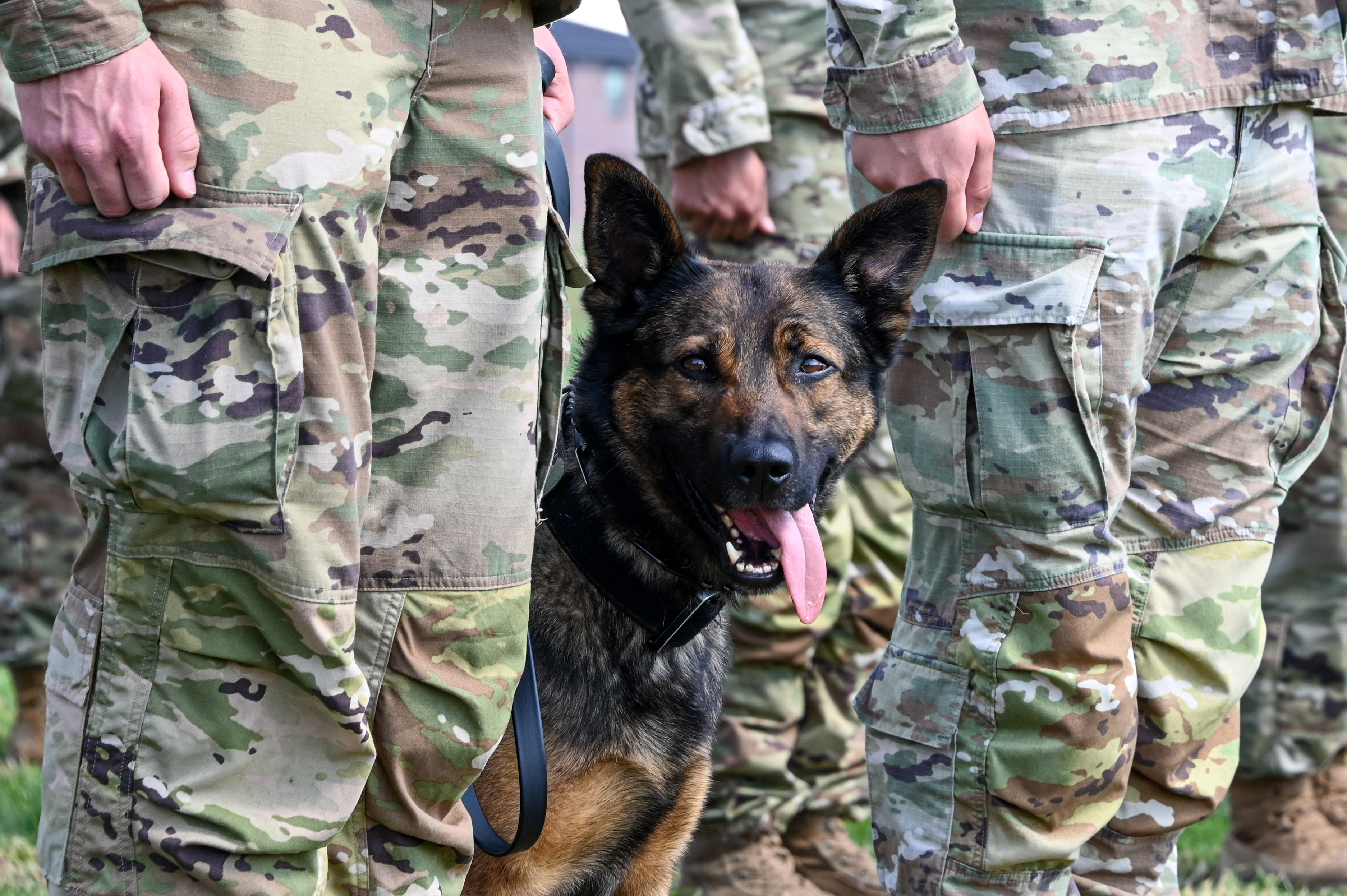Altus defenders close out Police Week with ceremony, remembering fallen ...