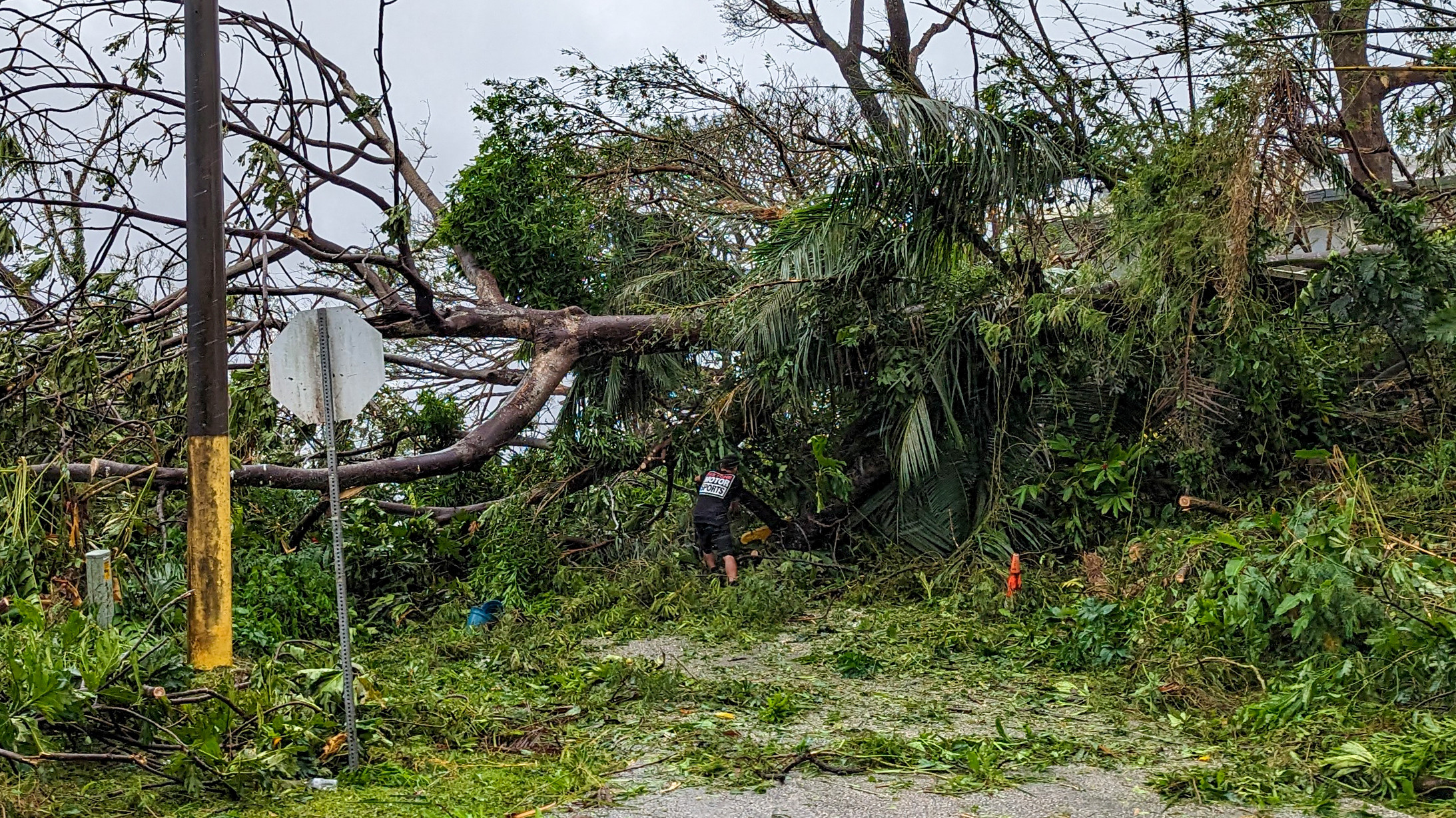 USACE readies for Typhoon Mawar Disaster Relief > Pacific Ocean ...