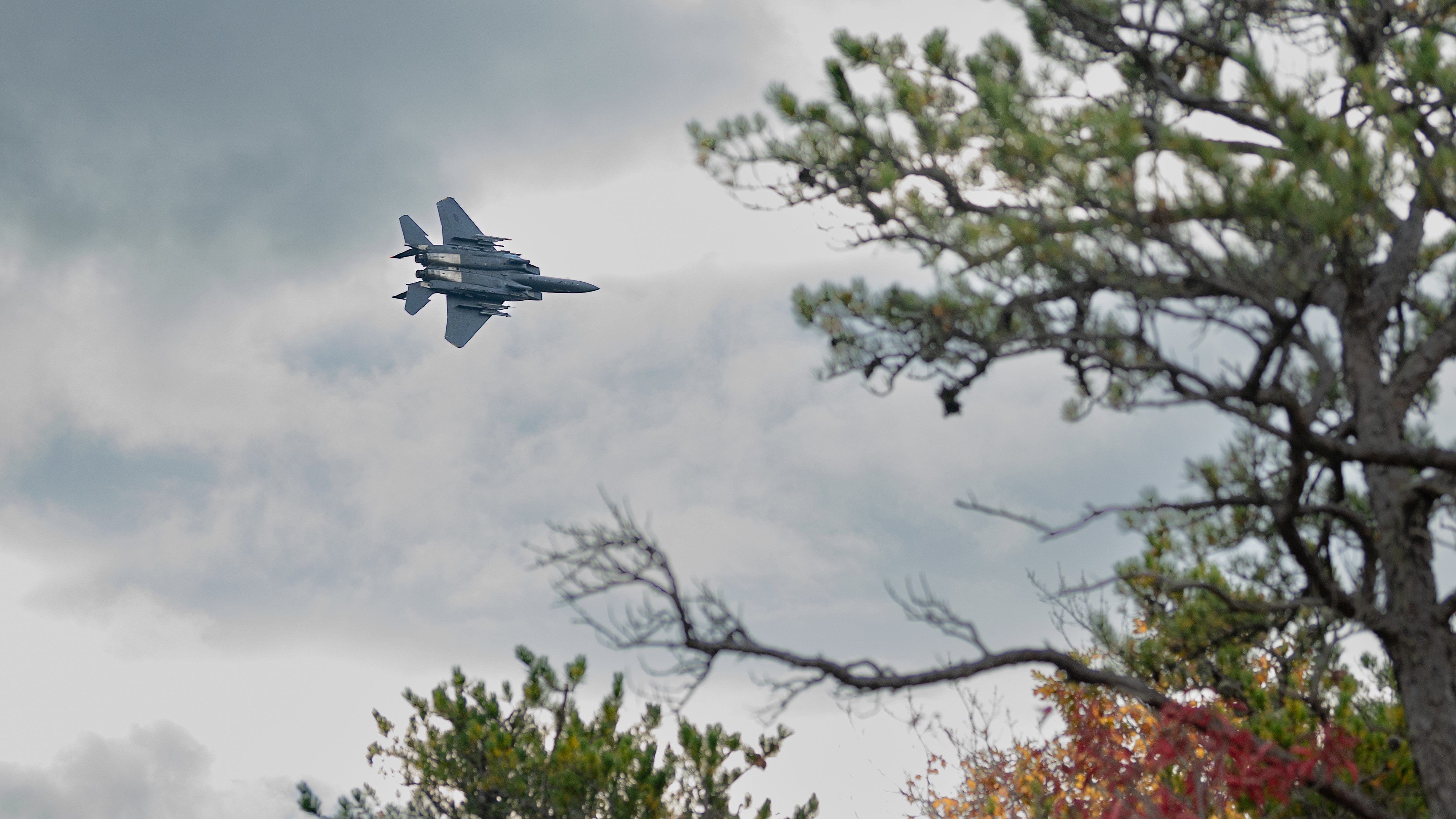 Operation Eagle Foliage > Seymour Johnson Air Force Base > Article Display