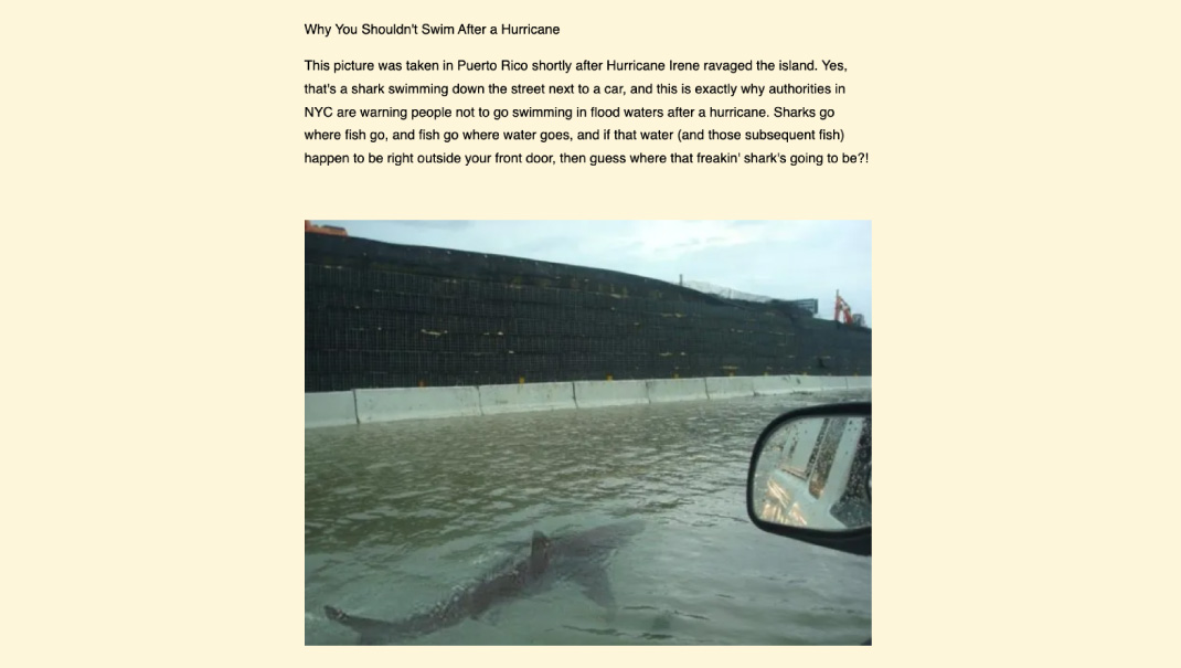 Types of Information Disorder > DINFOS Pavilion > Article