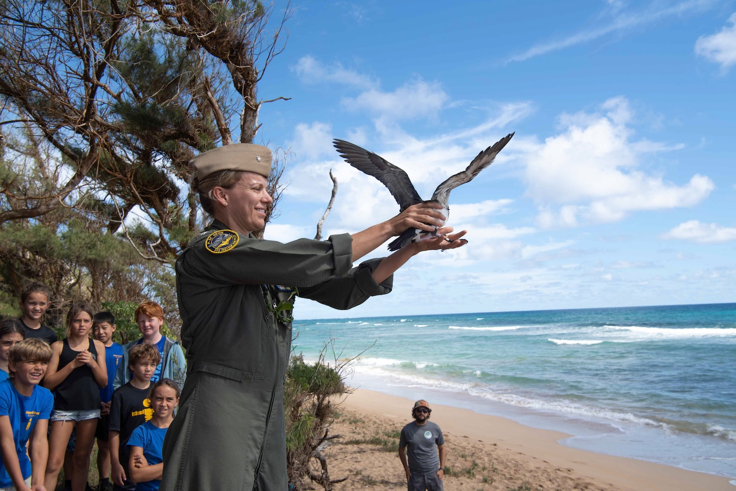 Save our Shearwaters Releases Indigenous Birds Back into the Wild ...