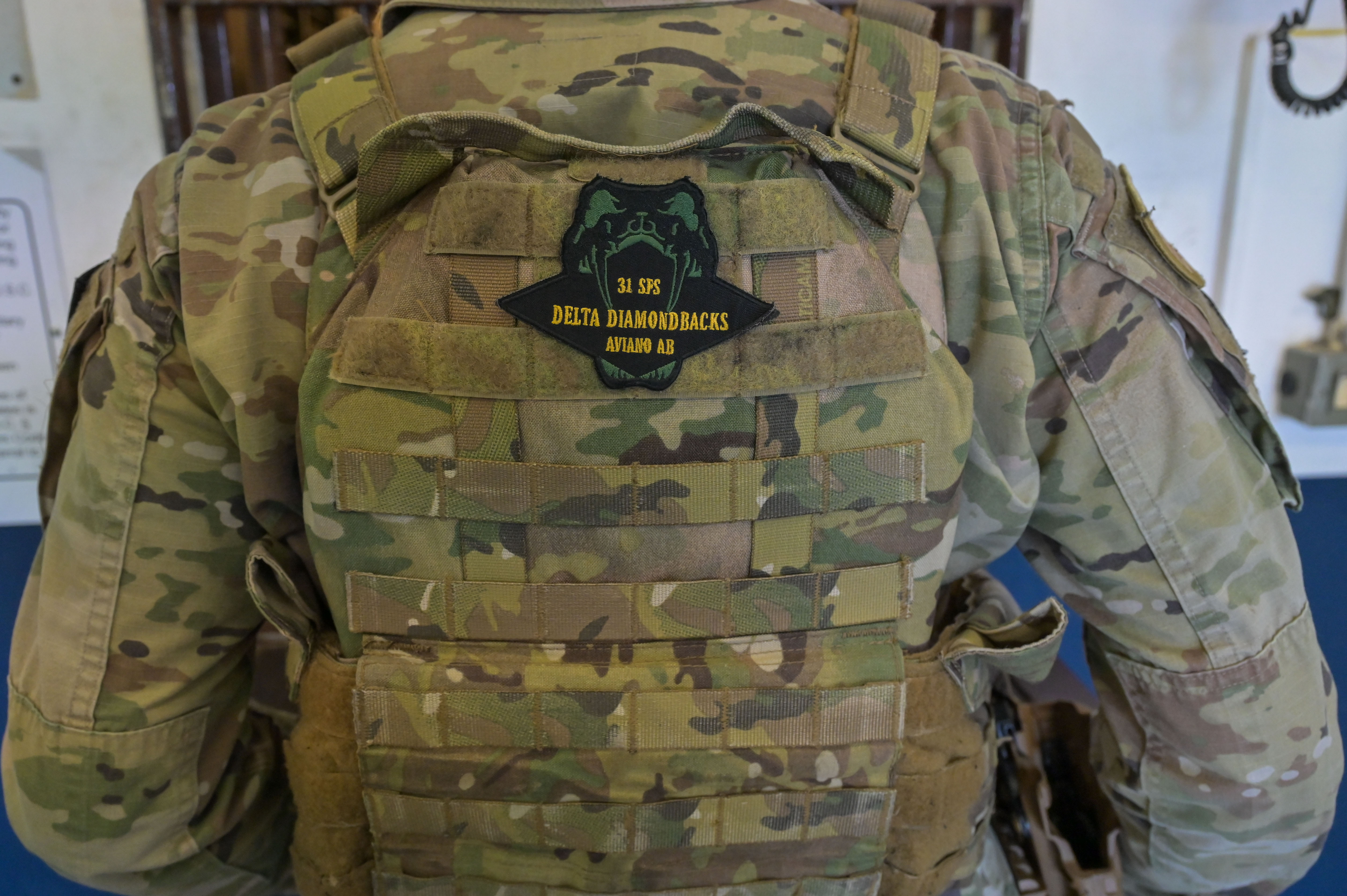 Defenders in the Armory > Aviano Air Base > Display