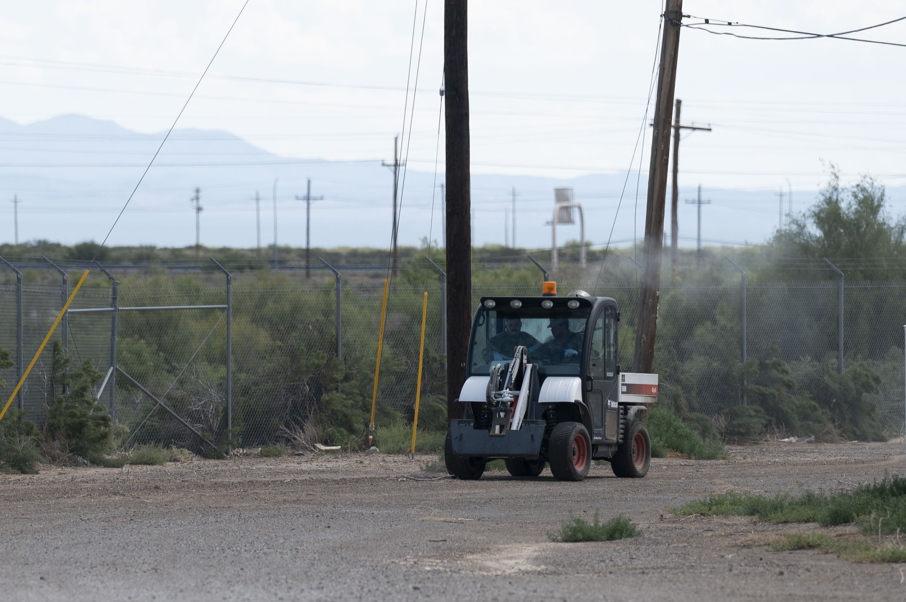 Pest management and public health combat disease-carrying insect ...