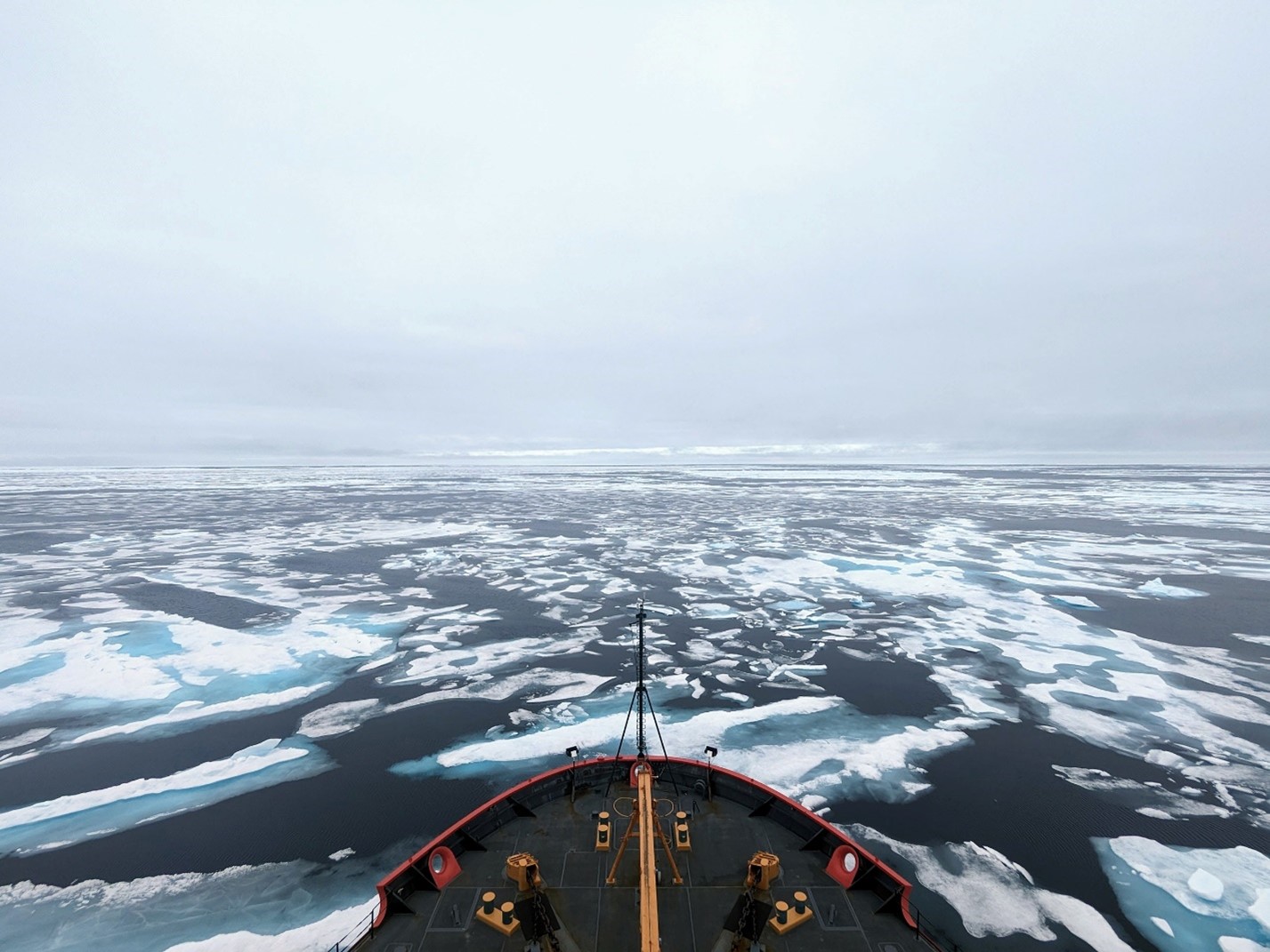 1st Space Force Guardian receives Arctic Service Medal > WIN THE FIGHT ...