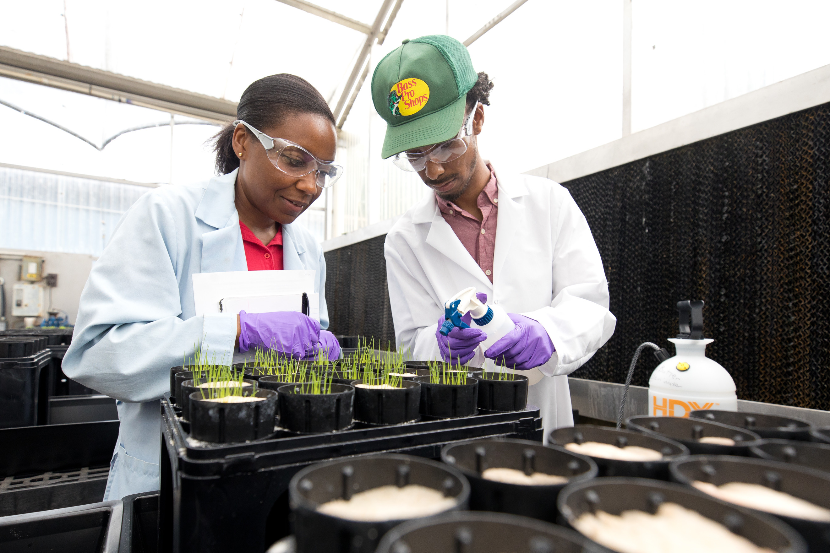 ERDC researchers experiment on remediation of Coal Combustion Residuals ...