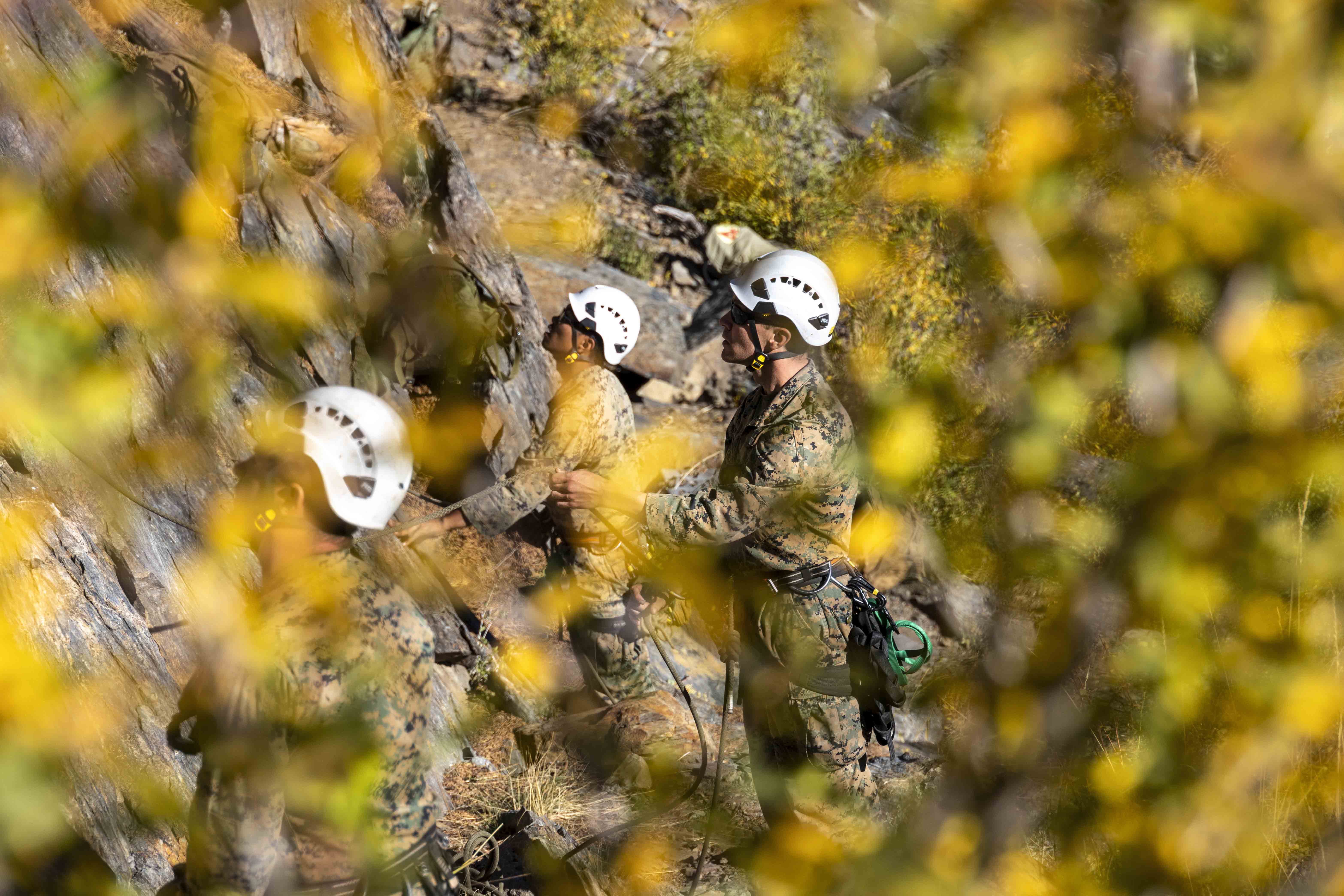 Mountain Climbers | U.S. Department of War