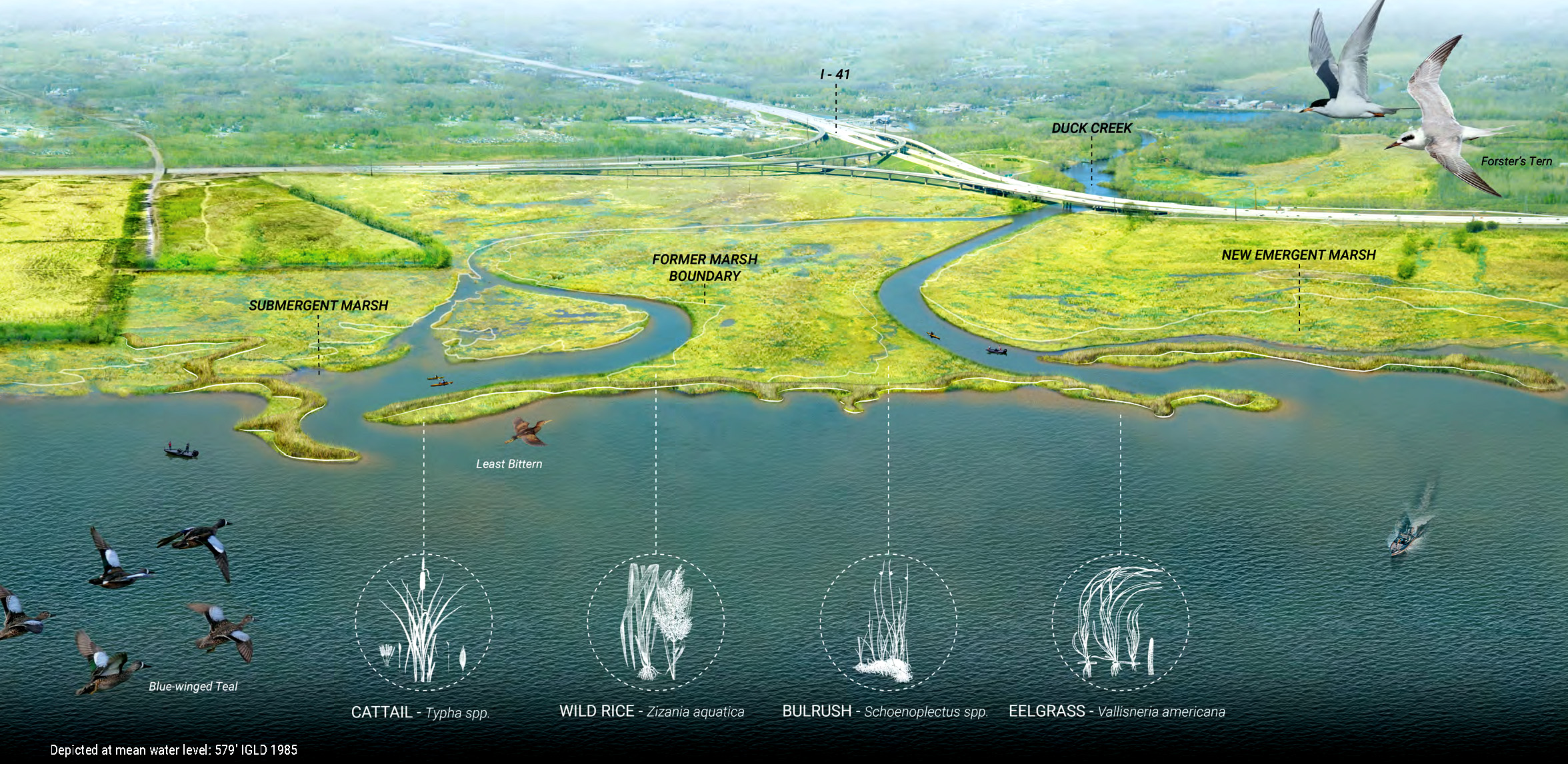 Emergent Coastline Examples