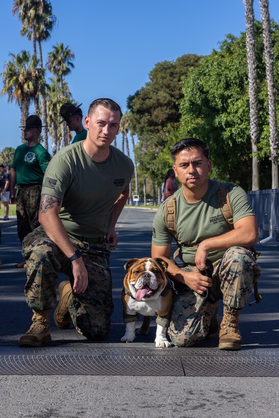 Boot Camp Challenge 2023