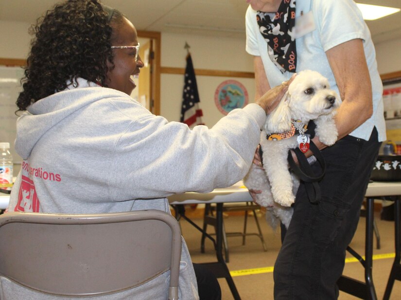 Paws for comfort > Honolulu District > News