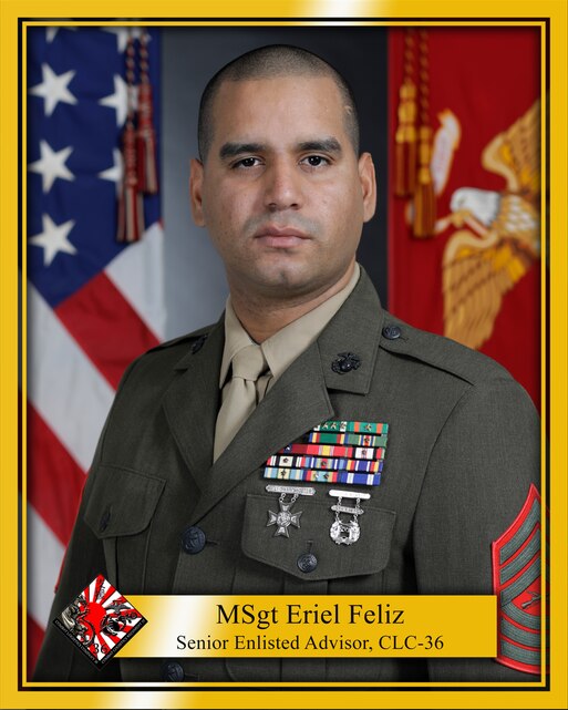 Master Sergeant Eriel Feliz > 3d Marine Logistics Group > Leader's bio
