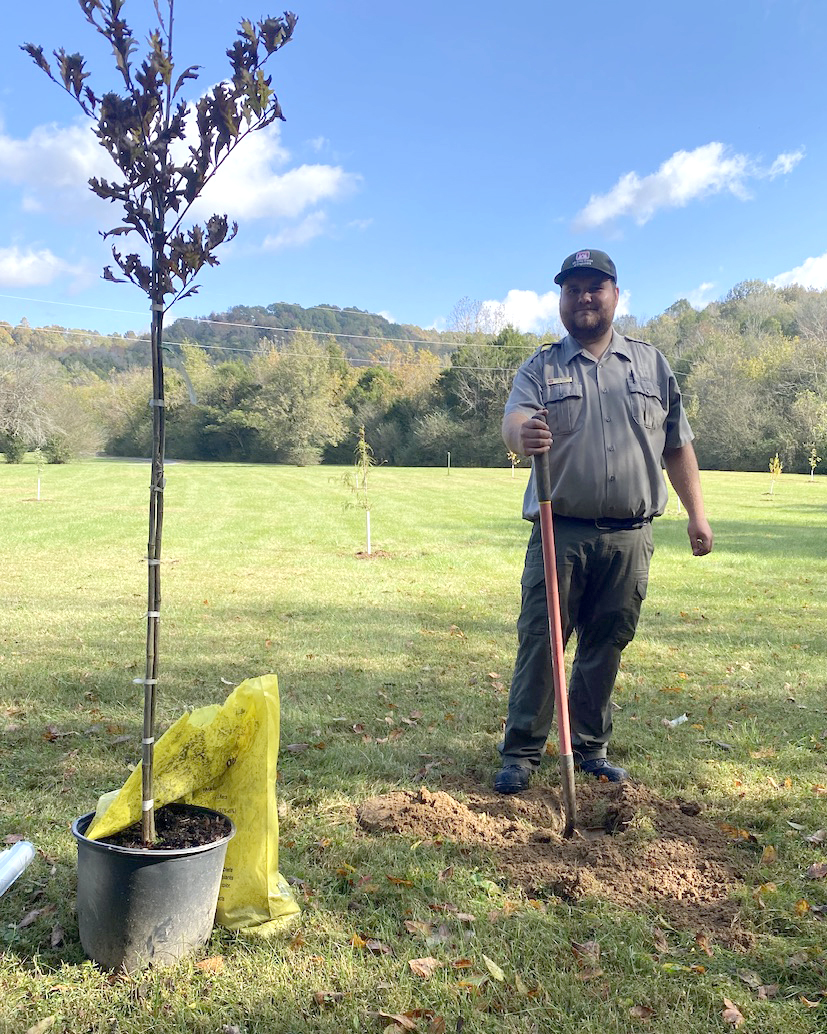 Volunteers sow seeds of conservation on Gainesboro Tree Planting Day ...