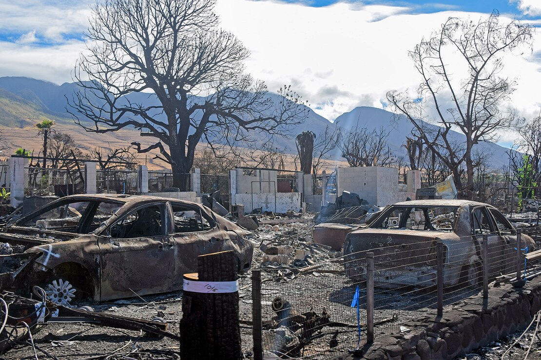 Ala Wai Project Facts