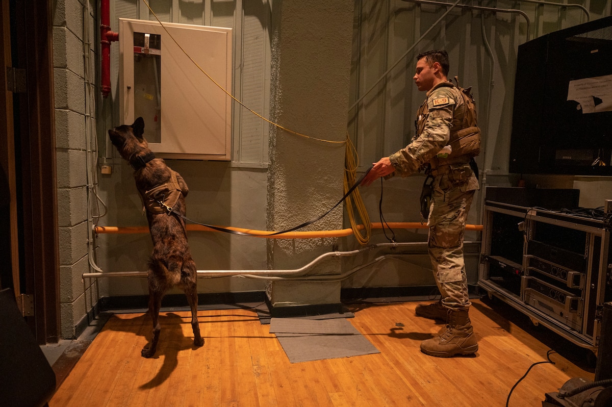 K9 teams conduct detection training > 505th Command and Control Wing ...