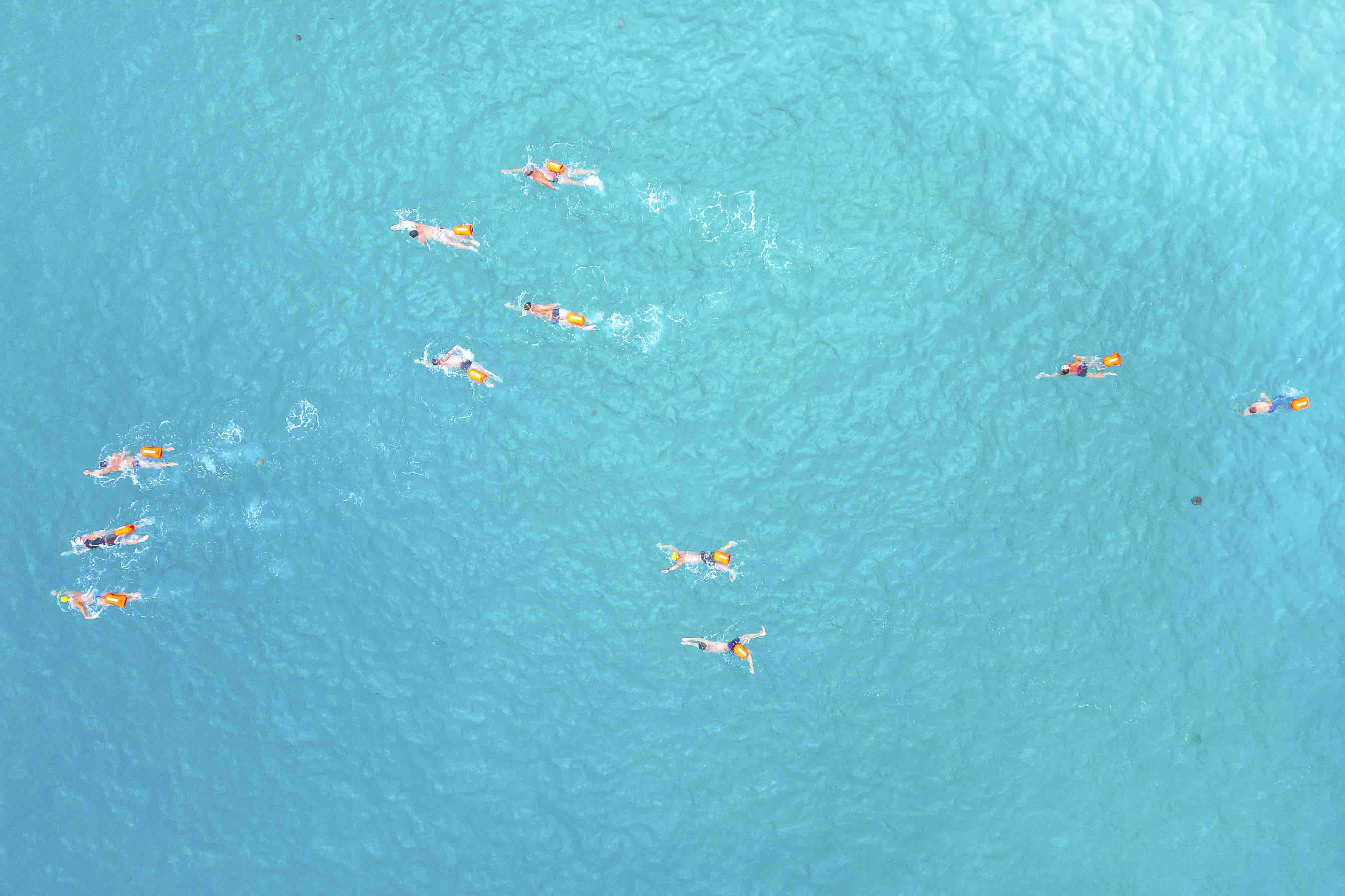 Swift Swimmers | U.S. Department of War