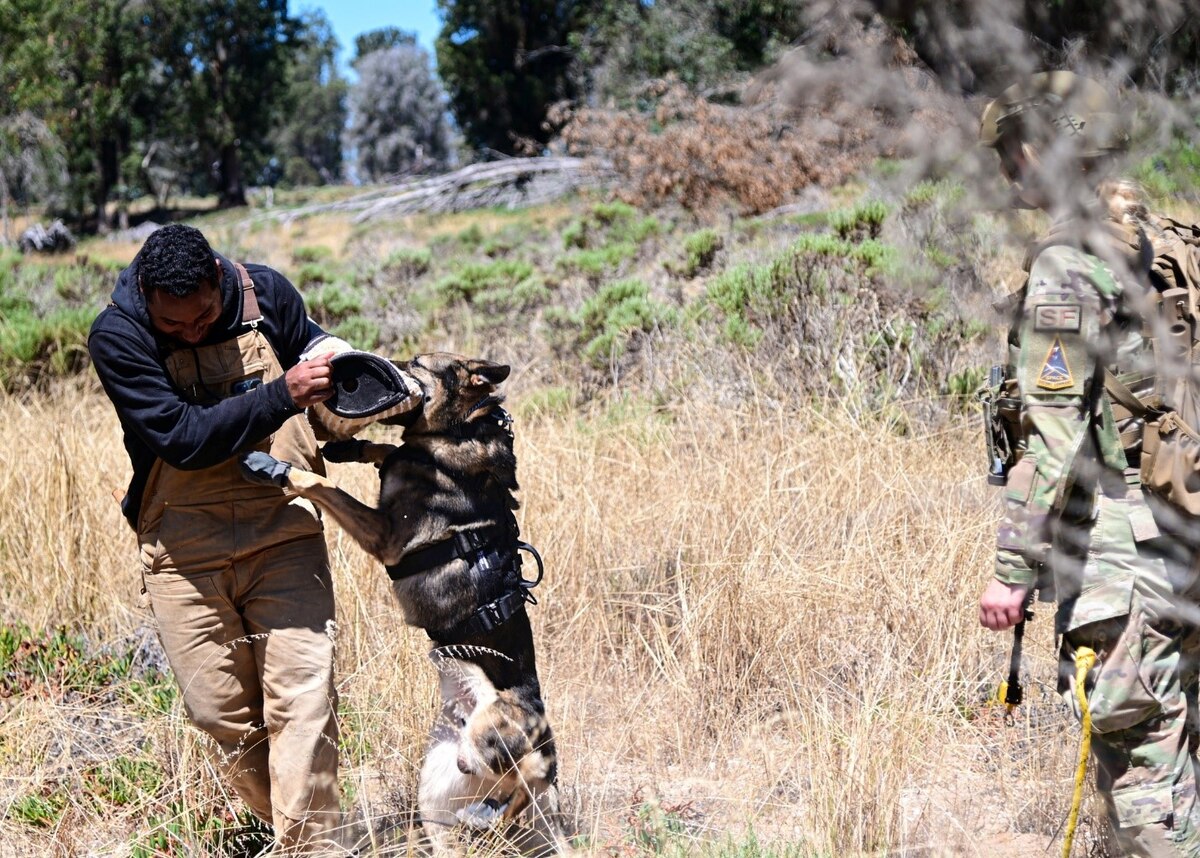 30th Security Forces Squadron Expeditionary Training > Vandenberg Space ...