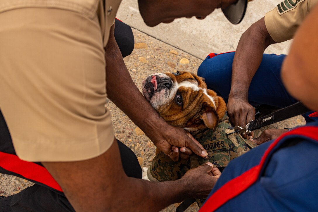Pfc. Bruno's Promotion