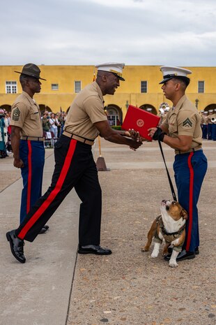 Pfc. Bruno's Promotion