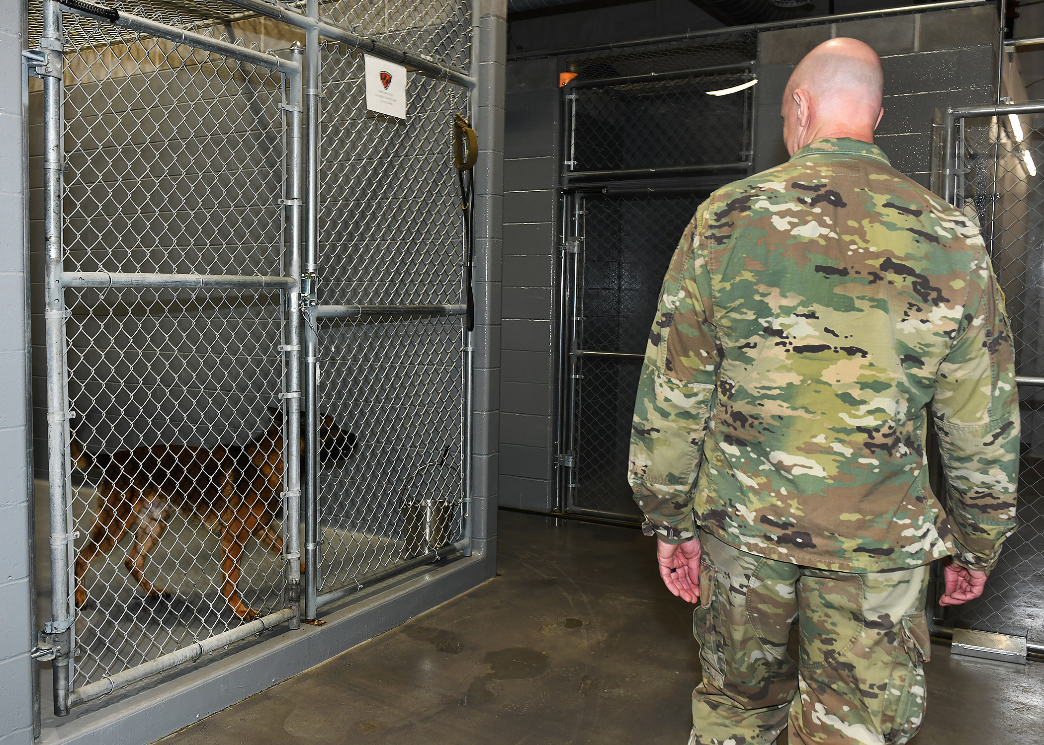55th Security Forces Squadron MWDs on the move > Offutt Air Force Base ...