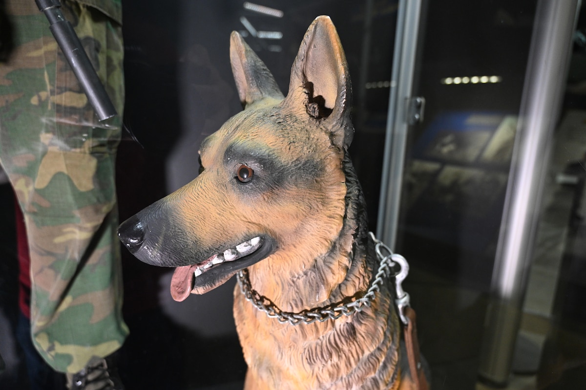 U.S. Air Force Dog Handlers > National Museum of the United States Air ...