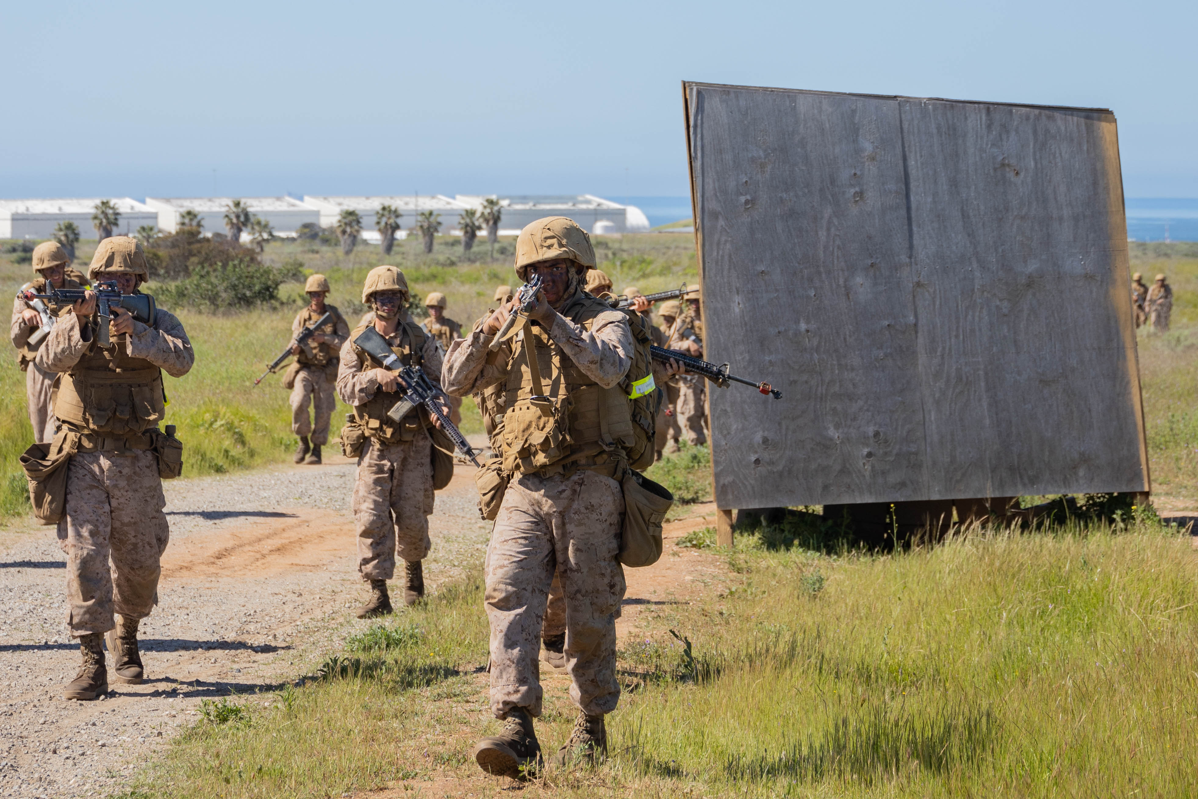 Alpha Company Crucible