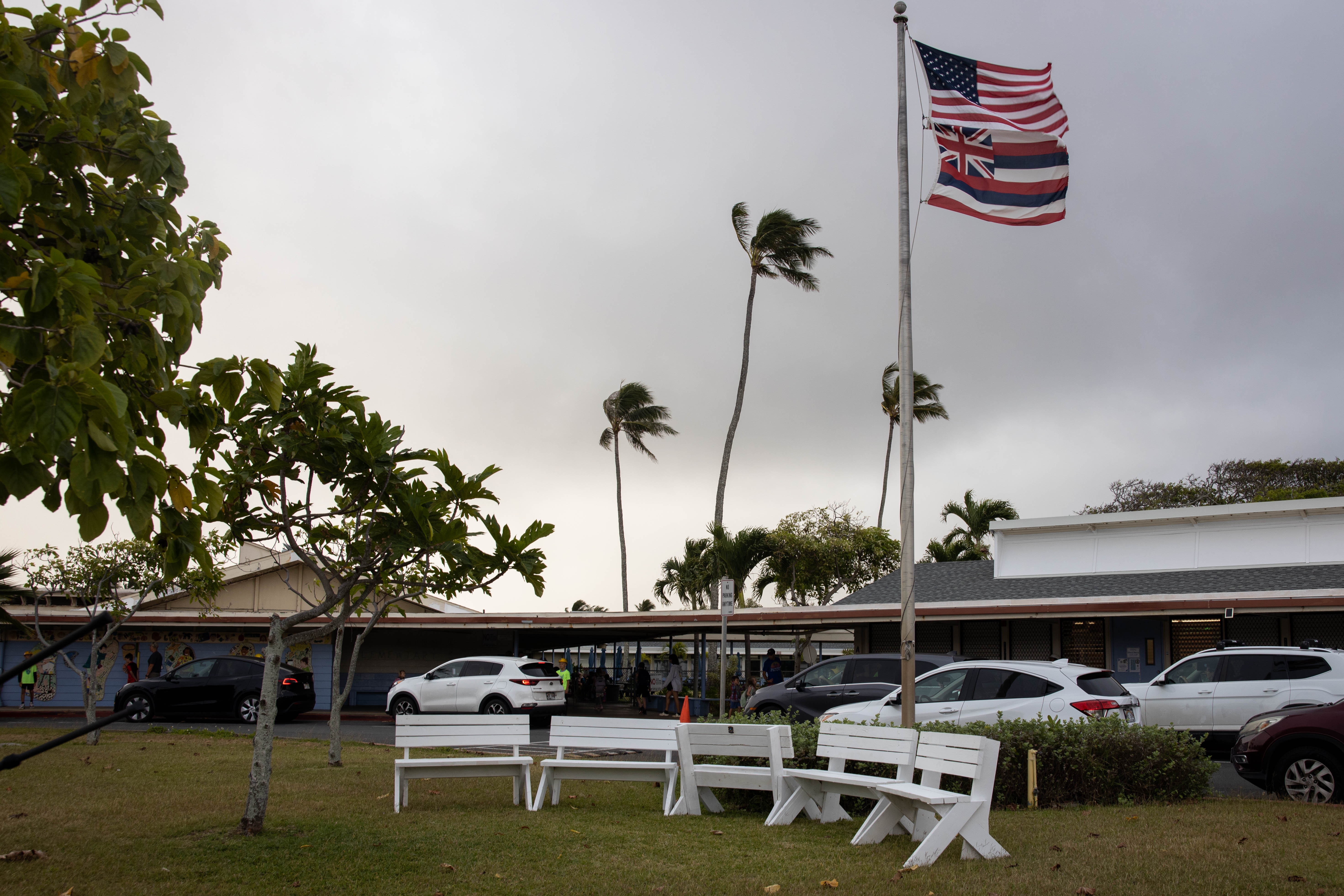 MAG-24 Marines Partner with Kainalu Elementary to Build Kindness > 1st ...