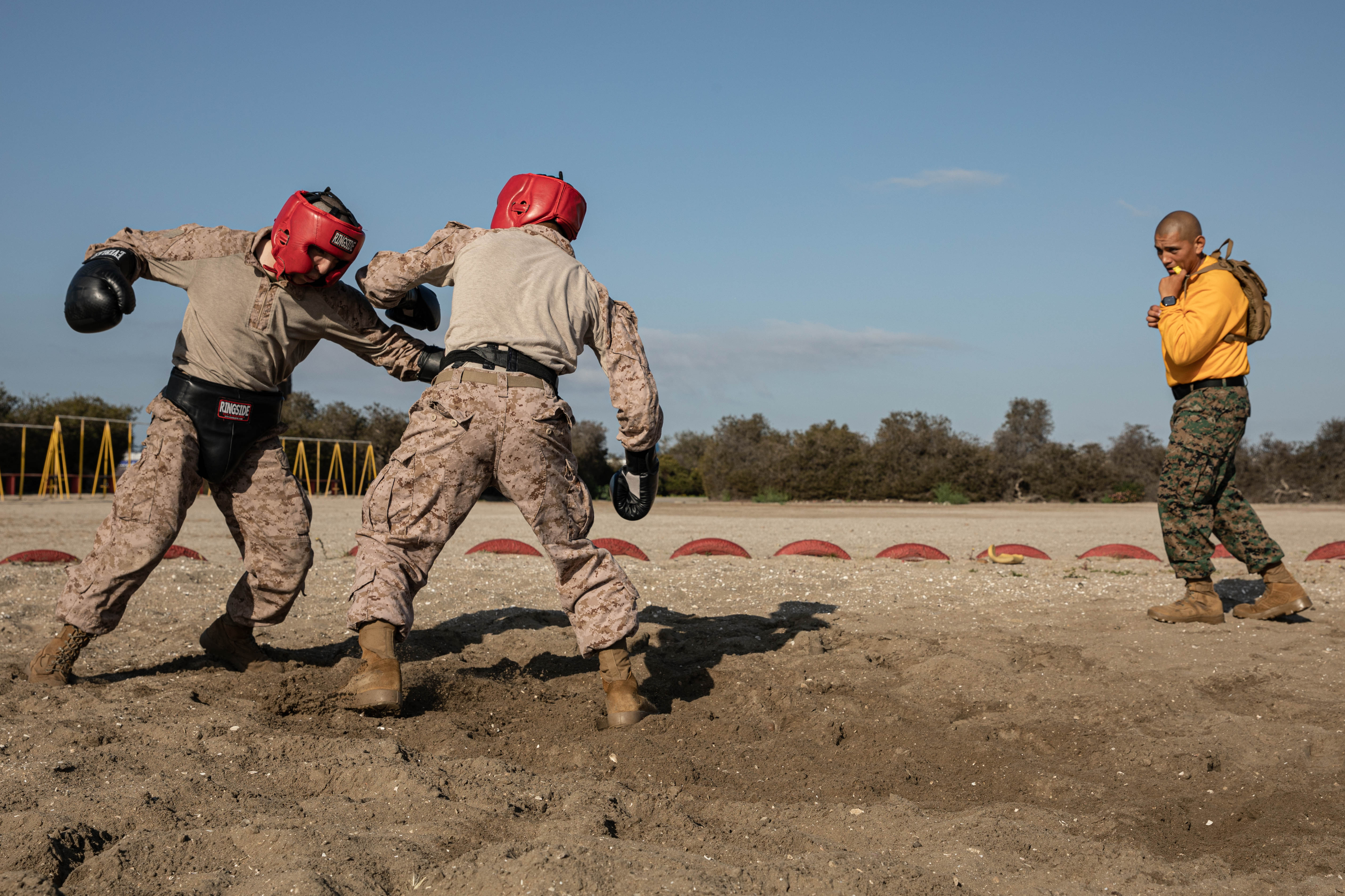Fox Company Body Sparring and Pugil Sticks