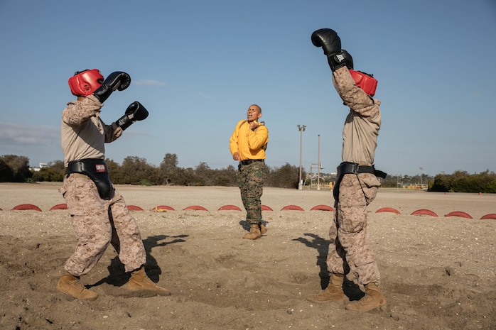 Fox Company Body Sparring and Pugil Sticks