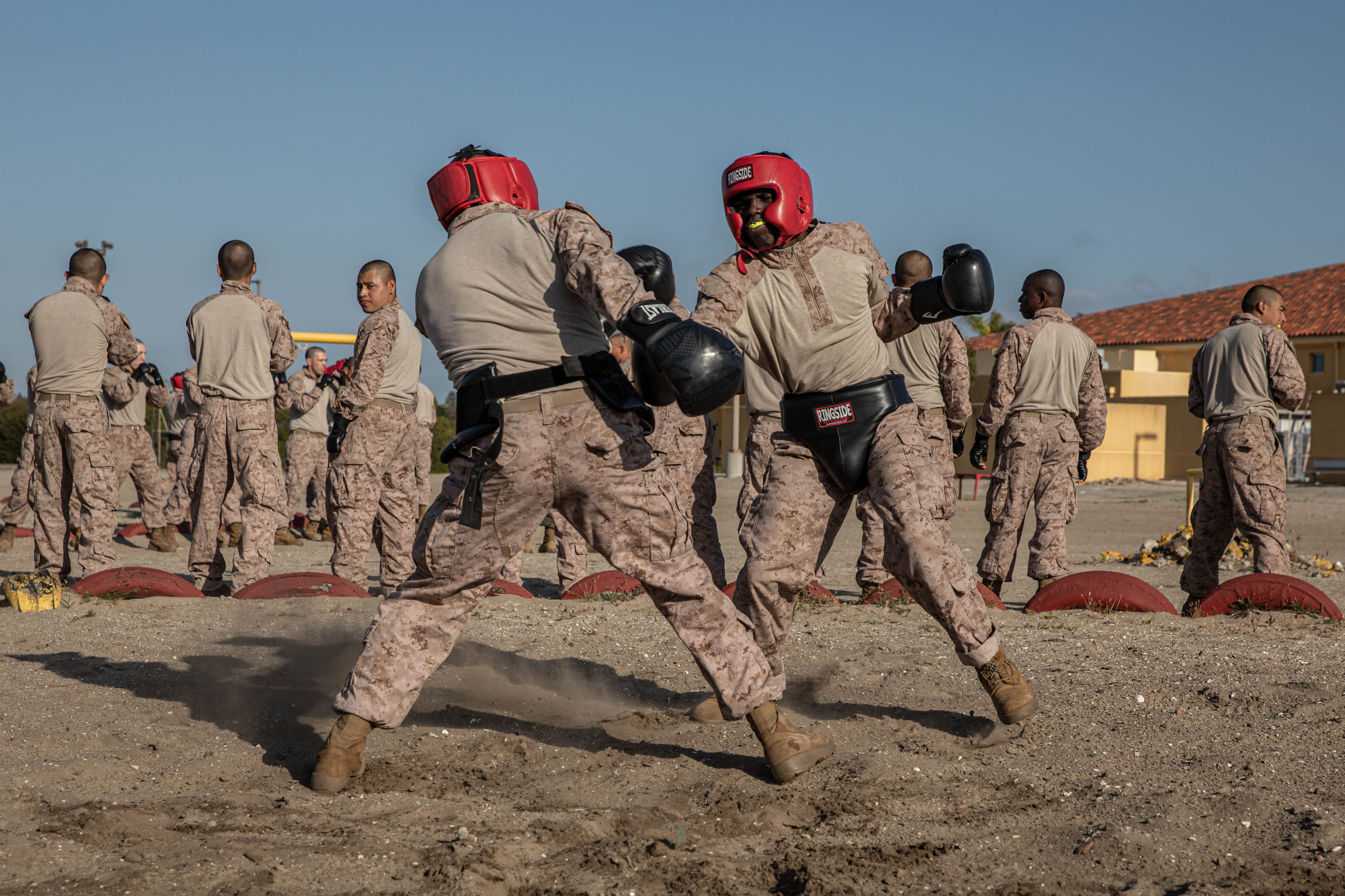 Fox Company Body Sparring and Pugil Sticks