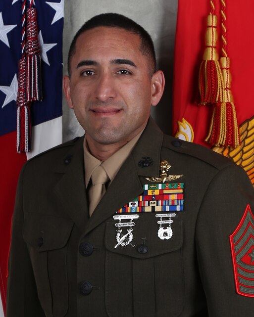 Sergeant Major Aaron R. Avila > 1st Marine Logistics Group > Biography