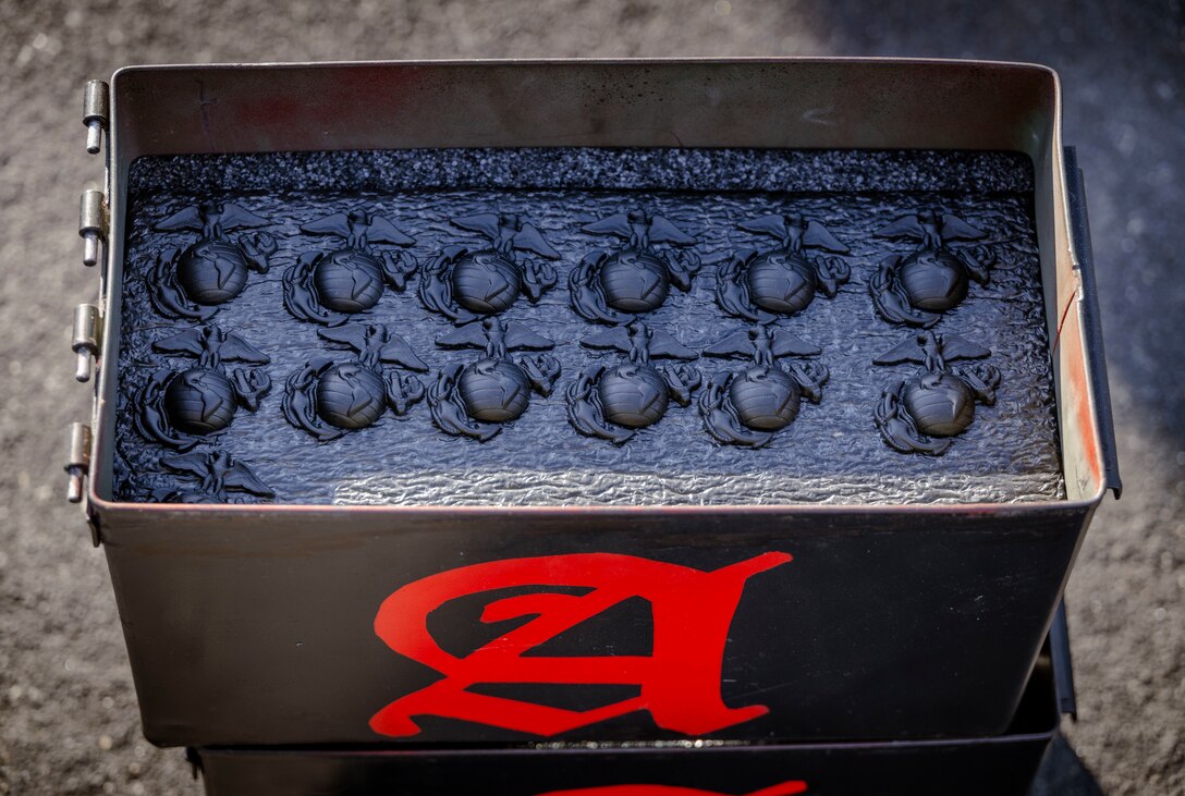 Alpha Company EGA Ceremony