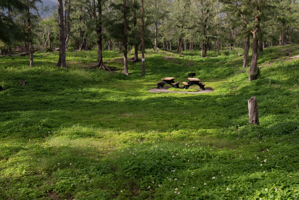 Bellows Air Force Station continues conservation effort > 15th Wing ...