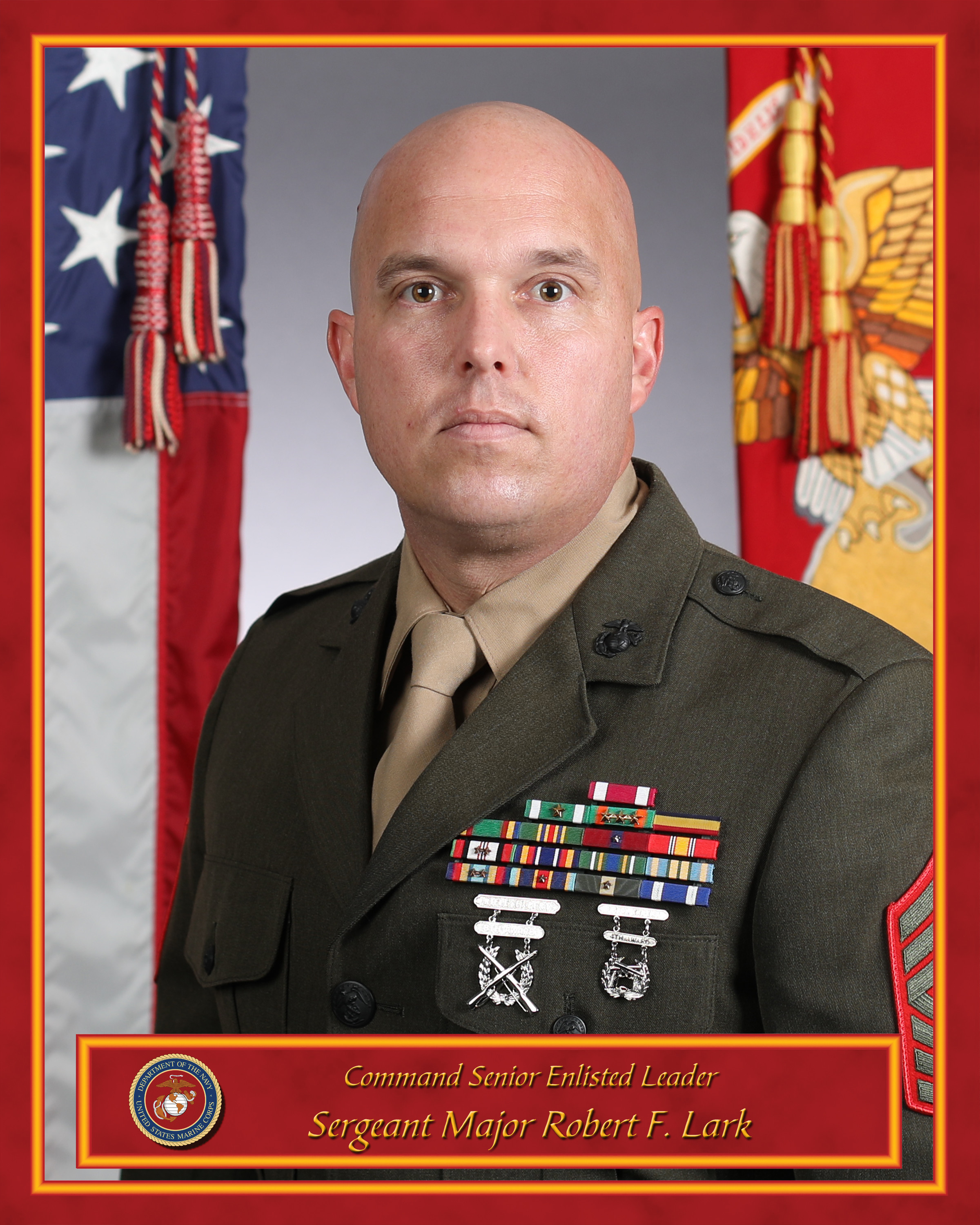 Sergeant Major Robert F. Lark > Training Command > Biography