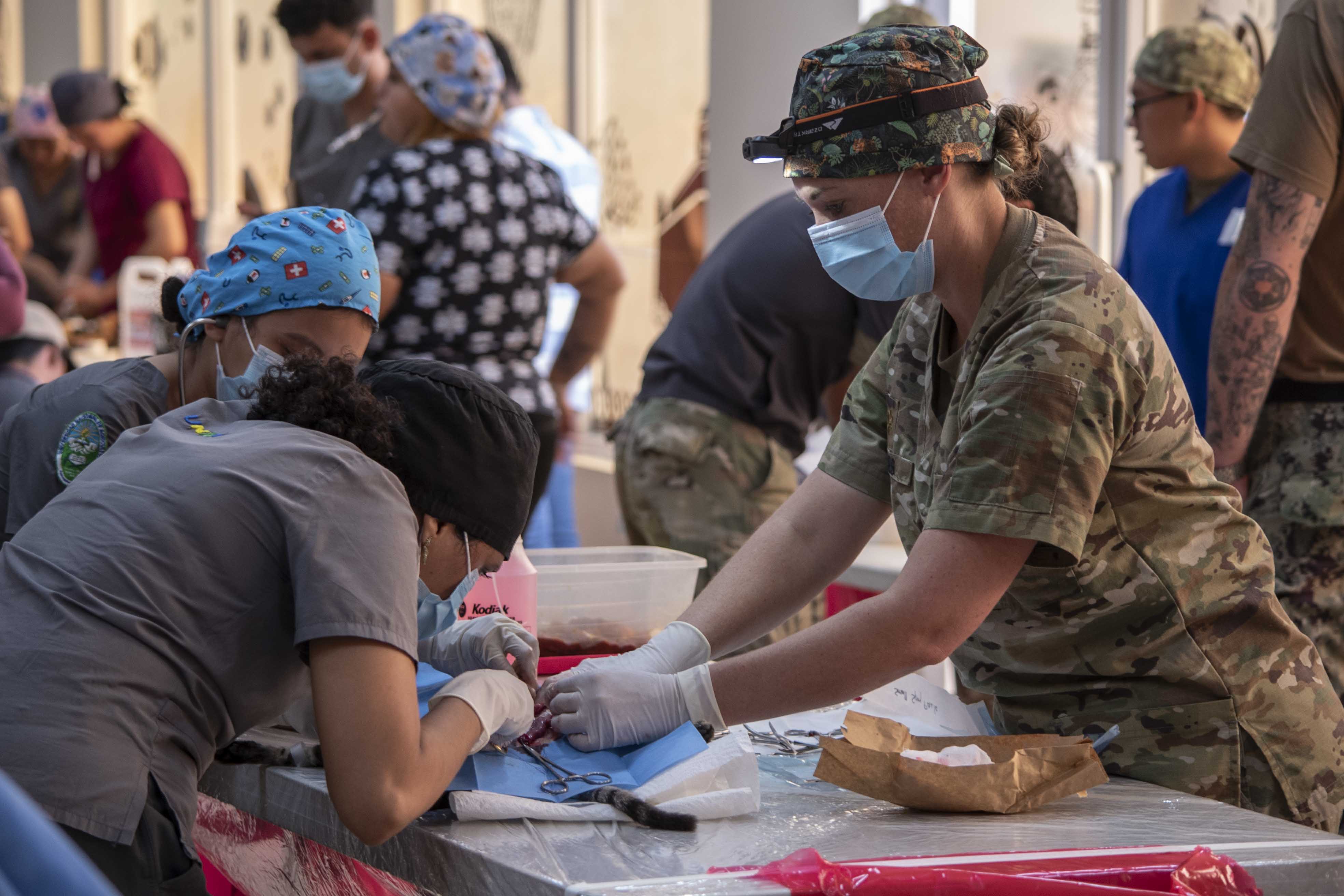Continuing Promise 2024 in Honduras > Joint Task Force-Bravo > Display