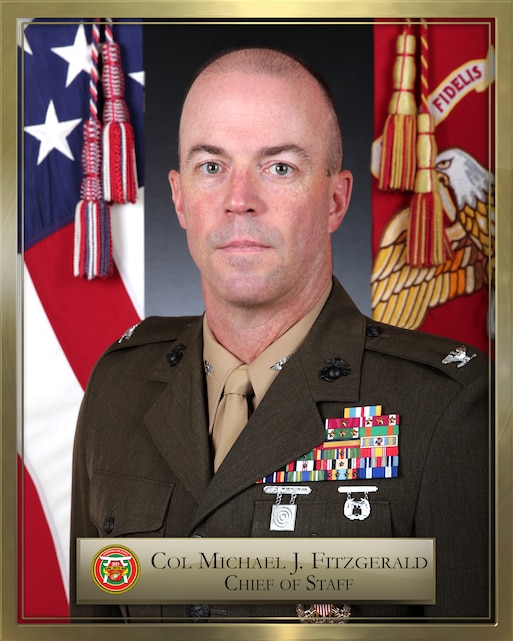 Colonel Michael J. Fitzgerald > 3d Marine Logistics Group > Leader's bio