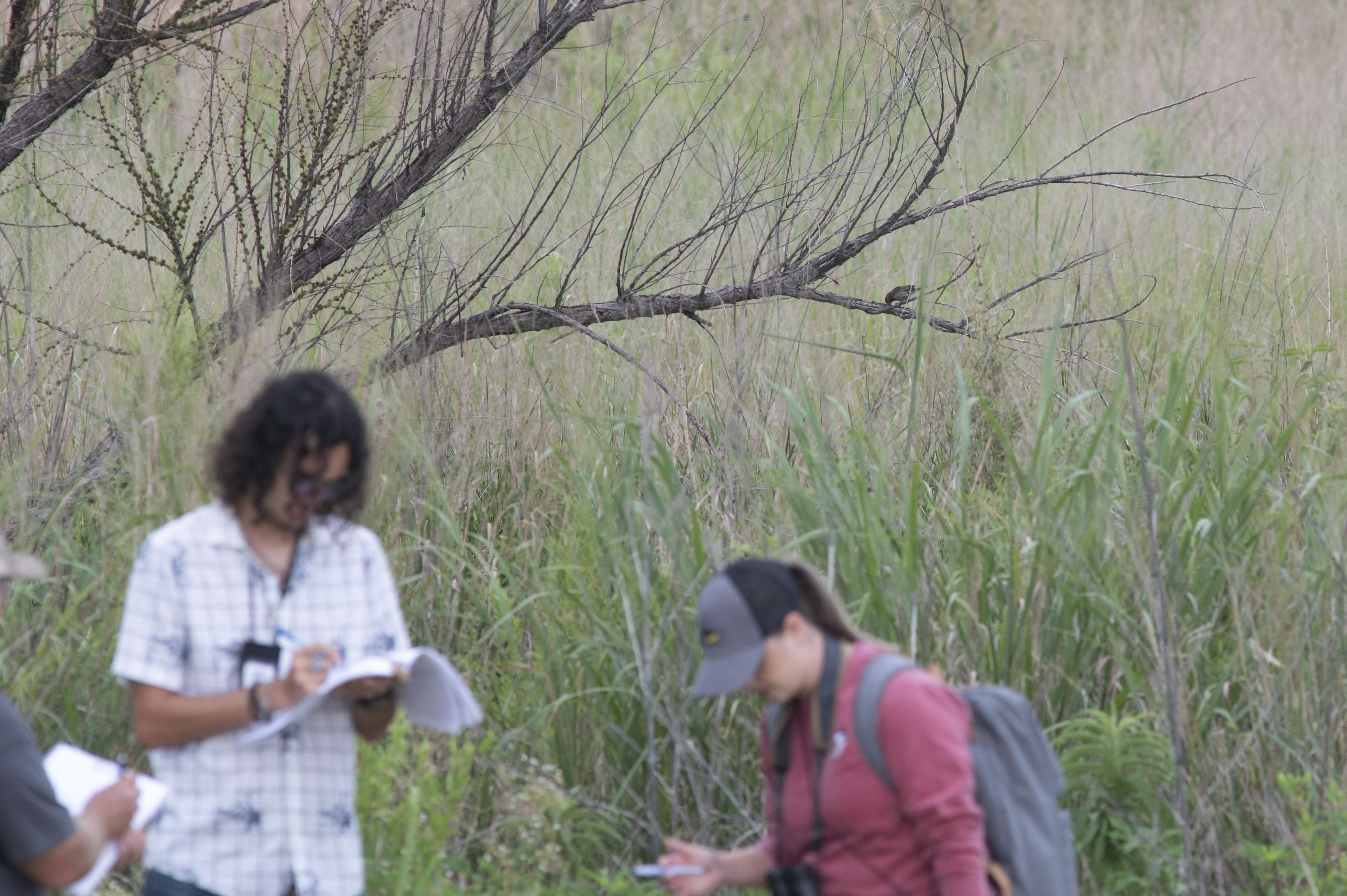 Avian Knowledge Network conducts regional training at Tinker > Tinker ...