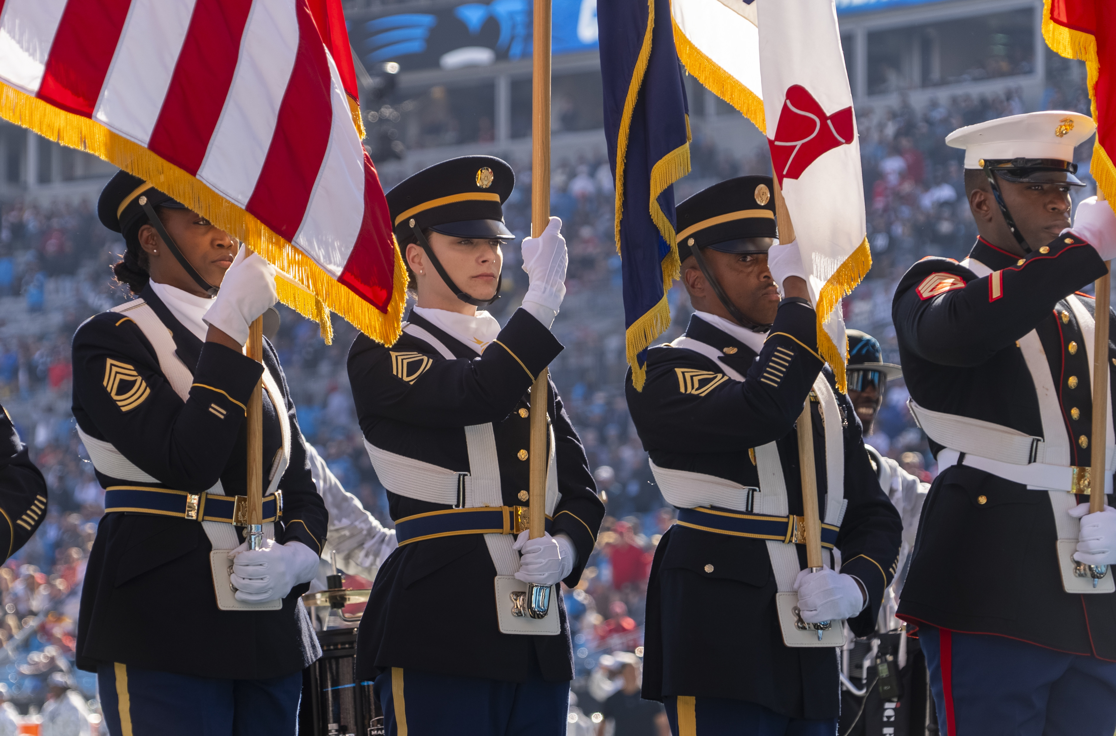 USARC Honor Guard represents during NFL Salute to Service game