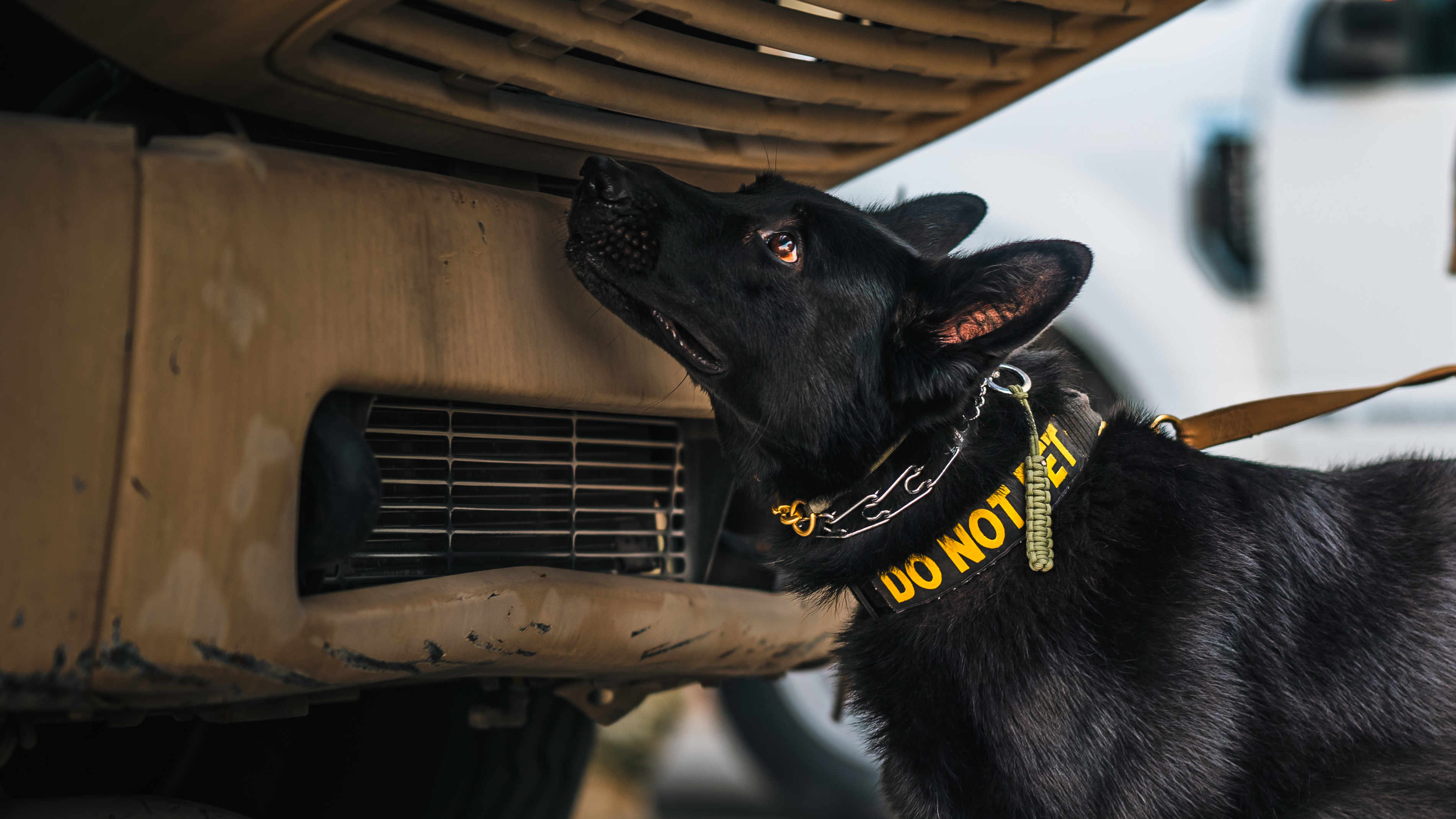 379th AEW conducts high-value DV exercise > U.S. Air Forces Central ...