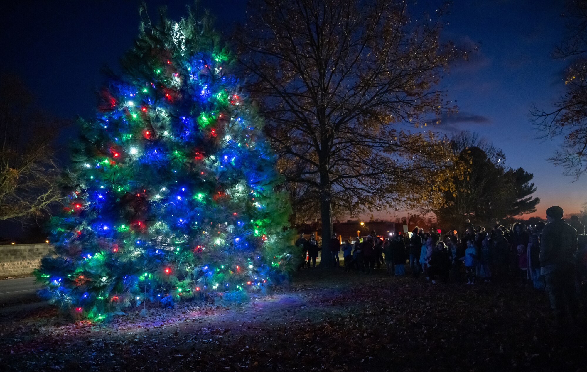 Team Dover starts the holiday season with annual tree-lighting ceremony ...