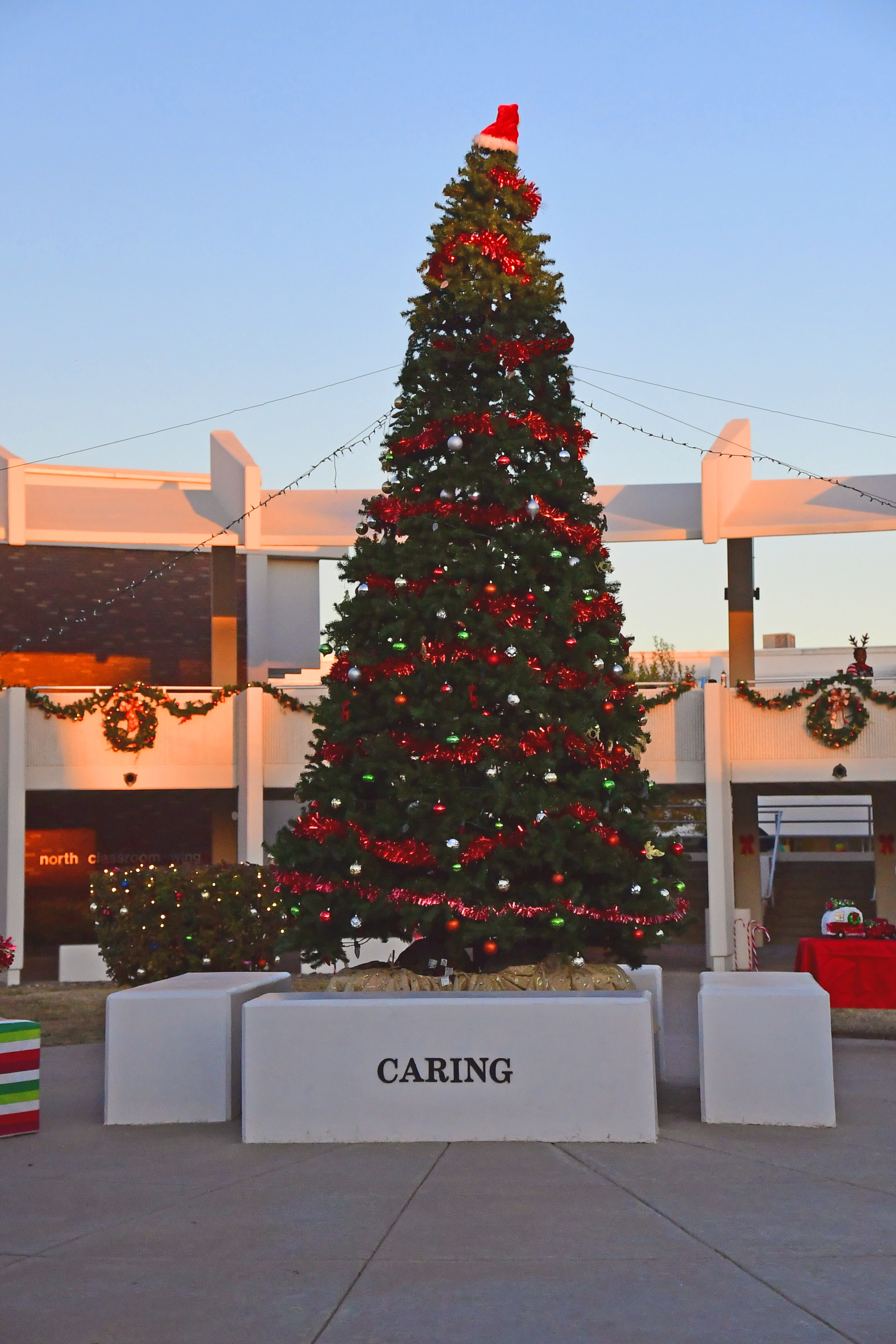 Spreading Holiday Hope and Cheer