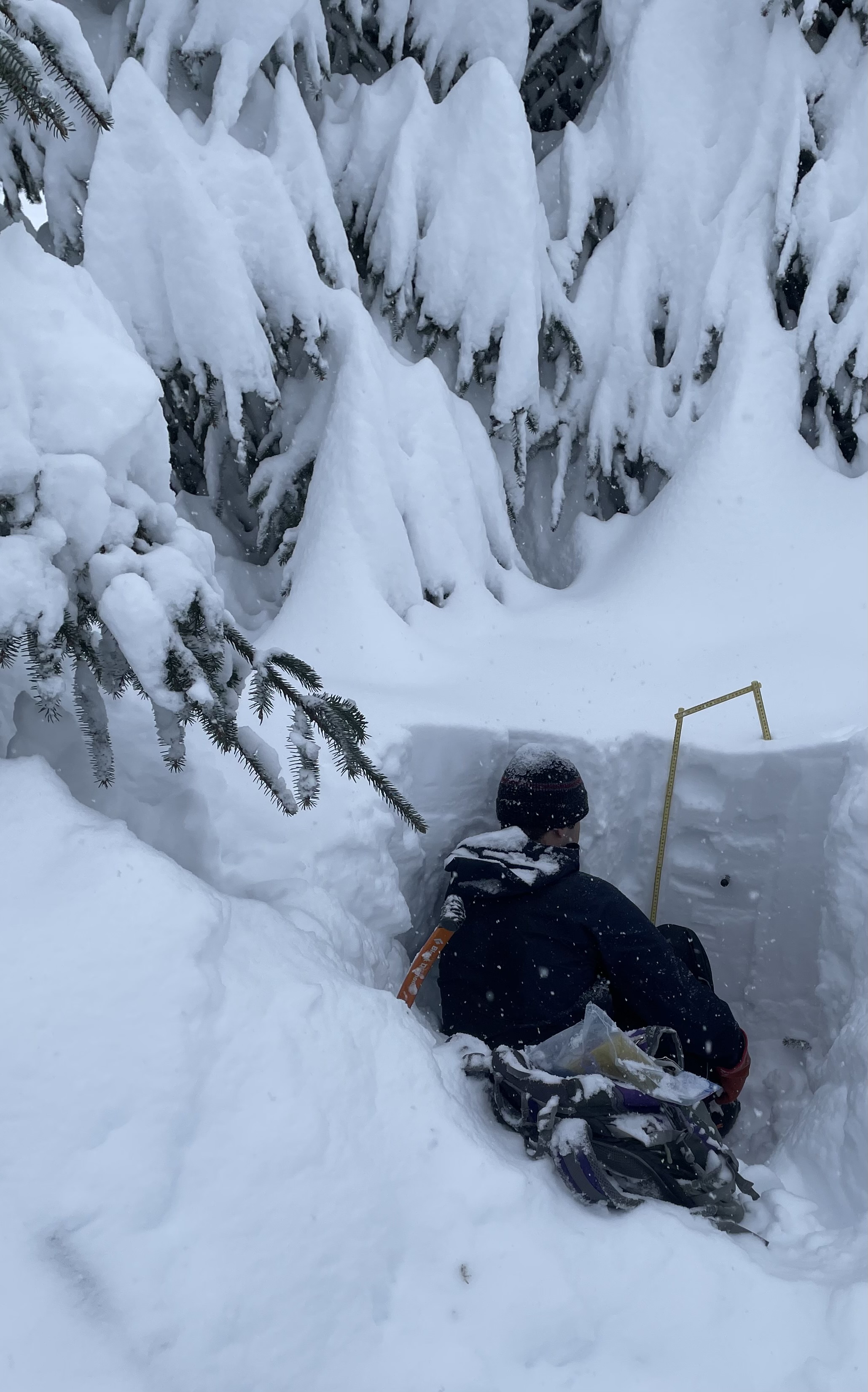 ERDC-CRREL’s Fragoso named LUCI fellow > Engineer Research and ...