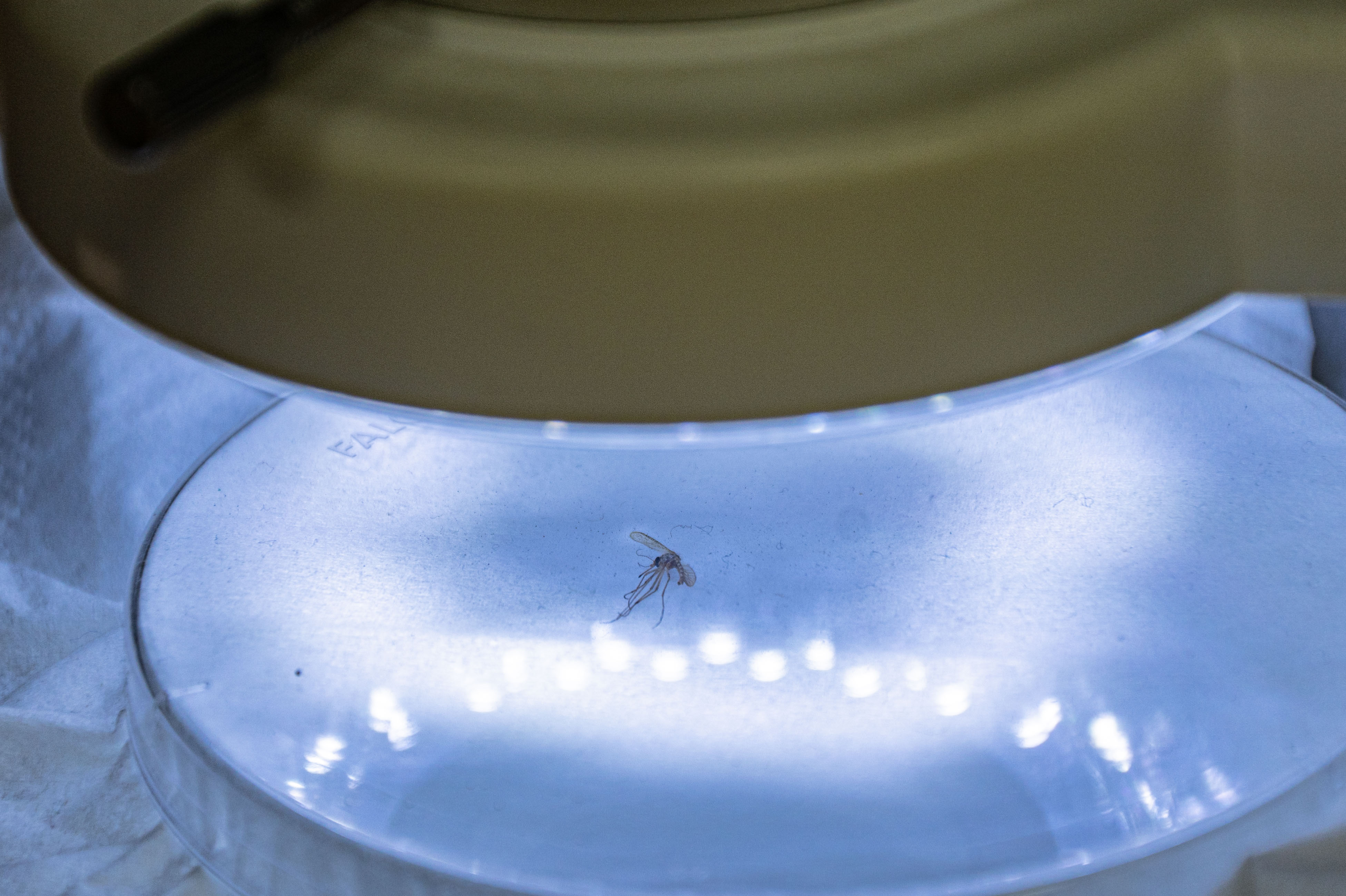 380th EMDS Entomology and Public Health > U.S. Air Forces Central ...