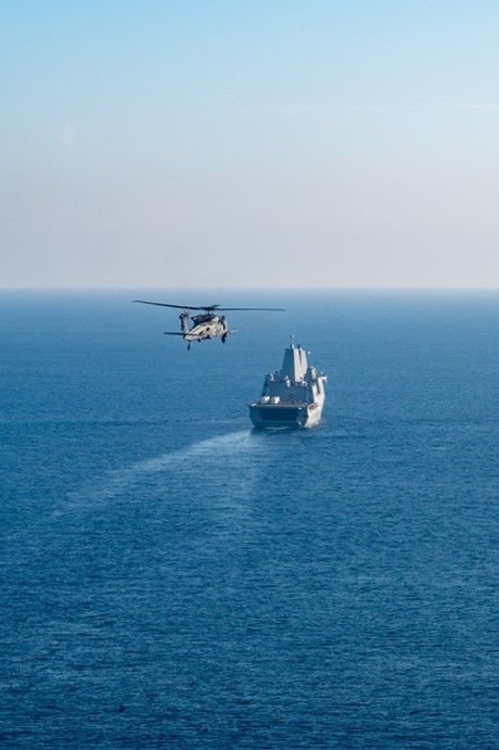 Distant Fury Stallion/Steel Knight