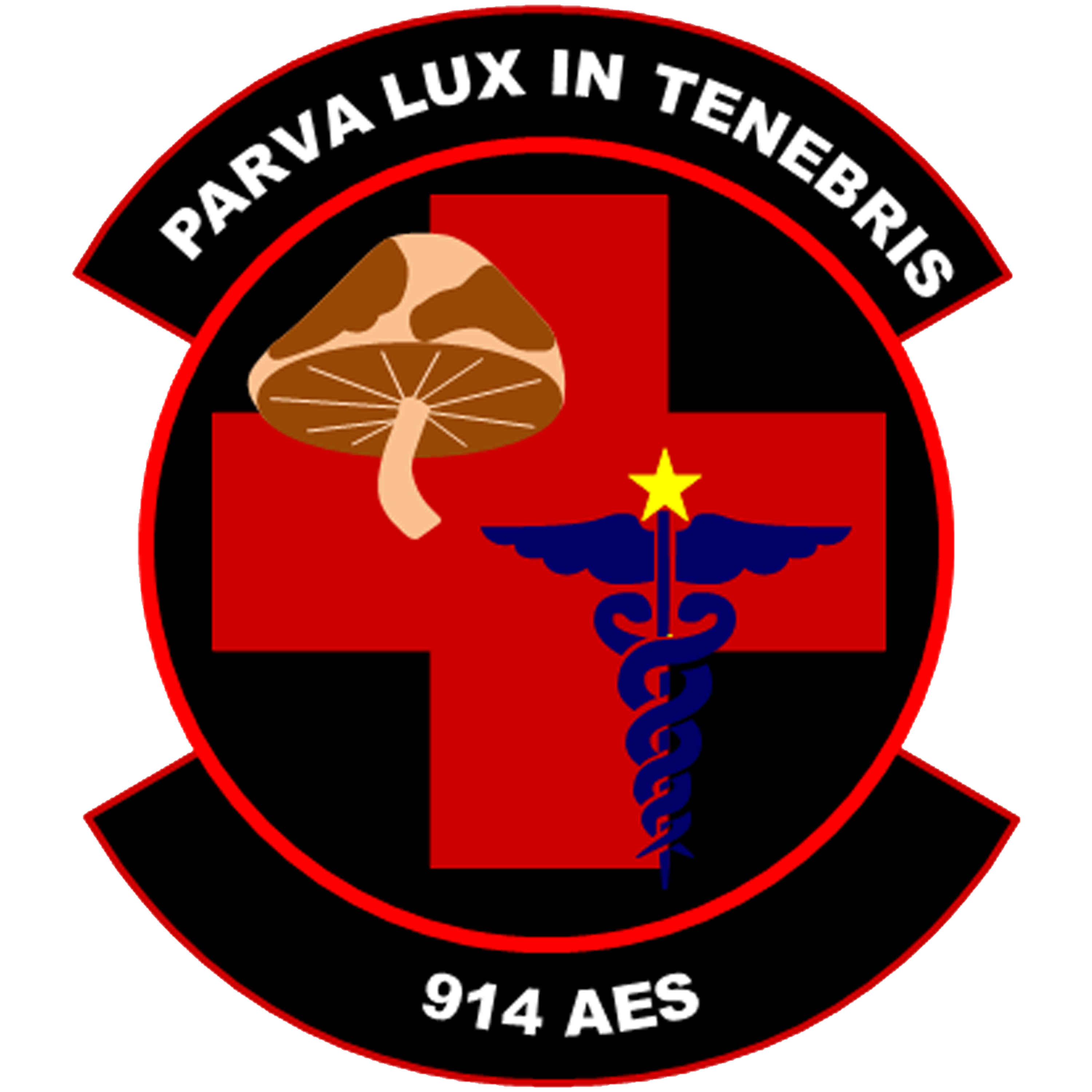 914th Aeromedical Evacuation Squadron > Niagara Falls Air Reserve ...